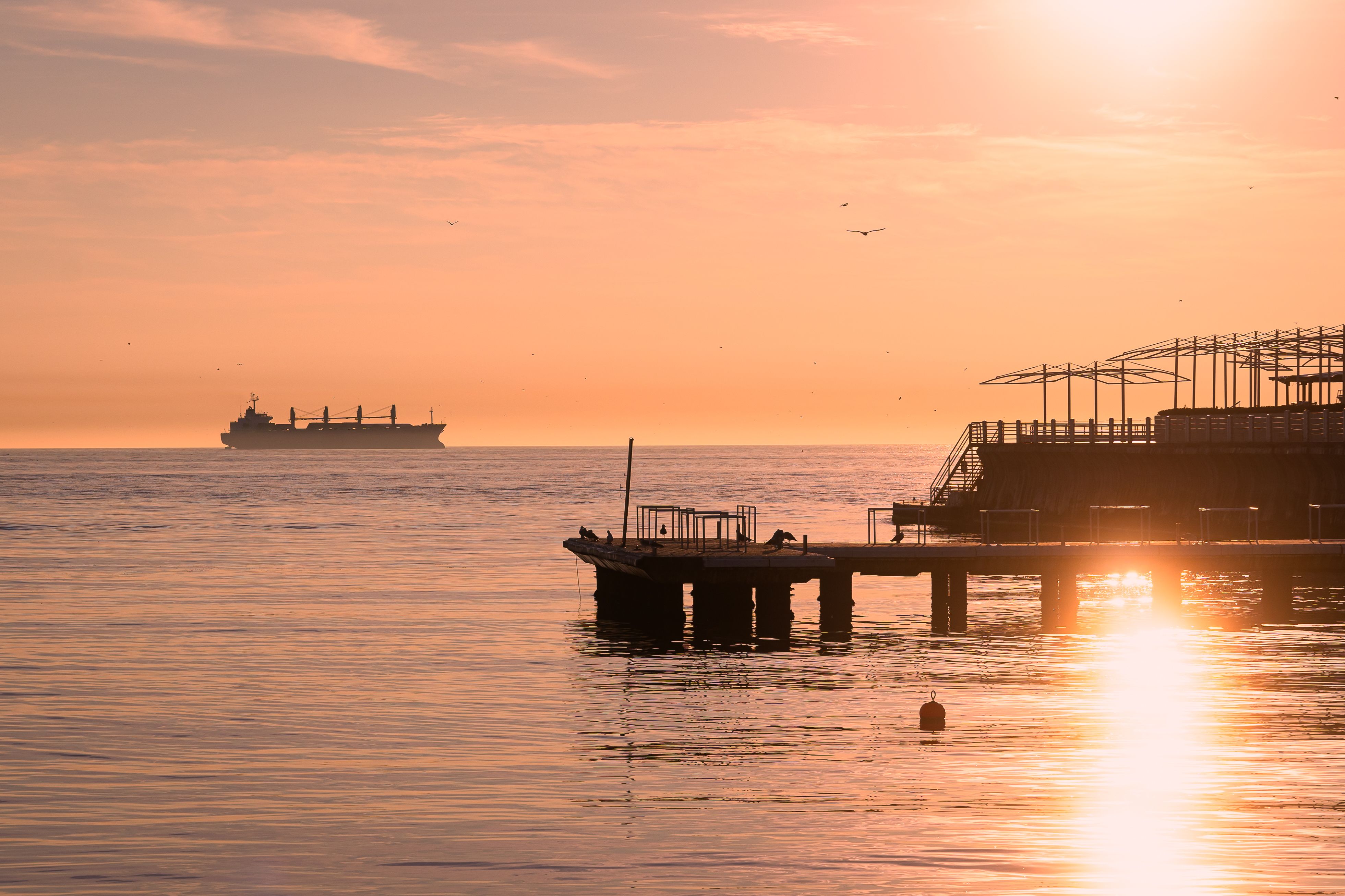 Serene Sunrise Over Tranquil Harbor Pier · Free Stock Photo