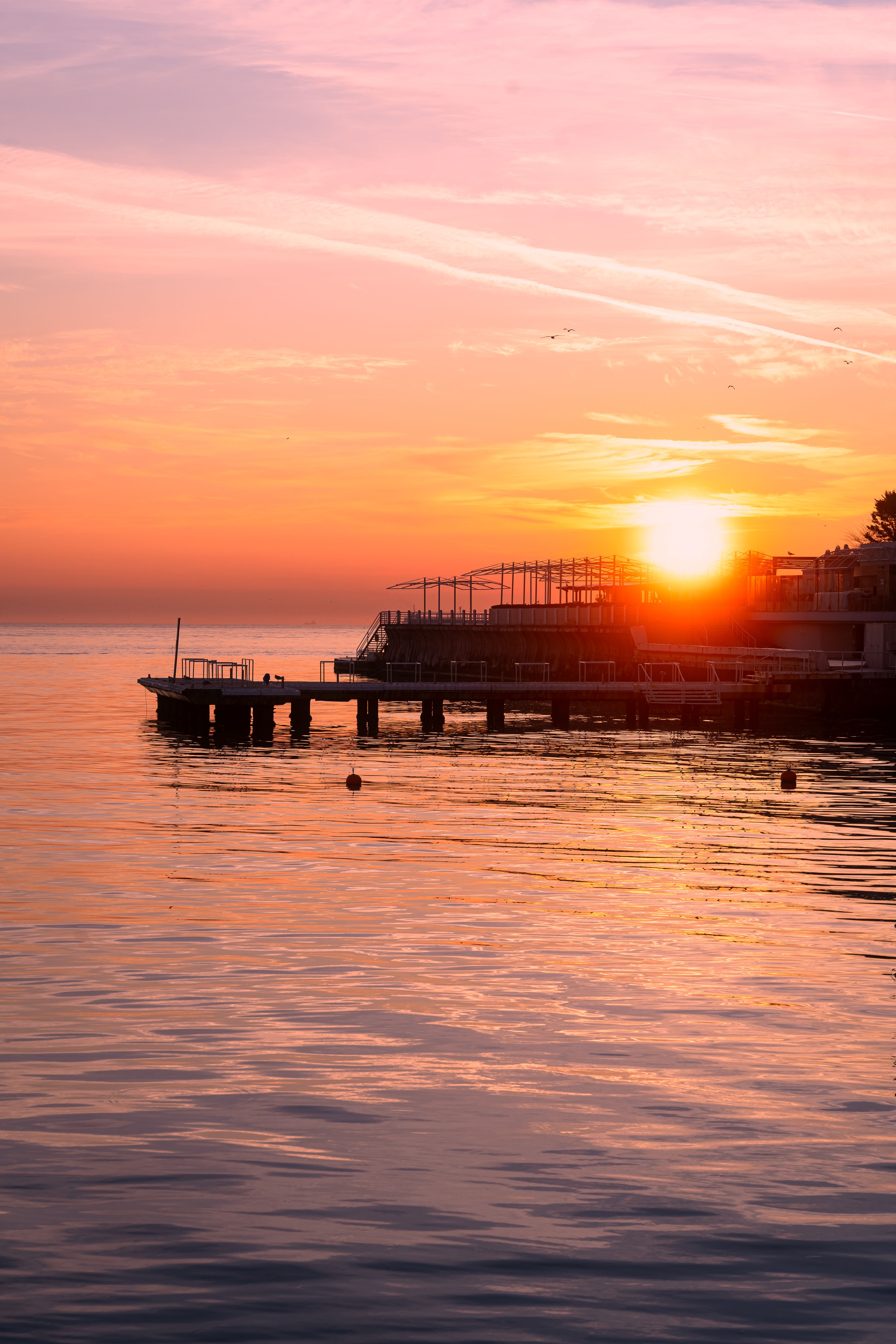 Ende+Bild Photos, Download The BEST Free Ende+Bild Stock Photos & HD Images