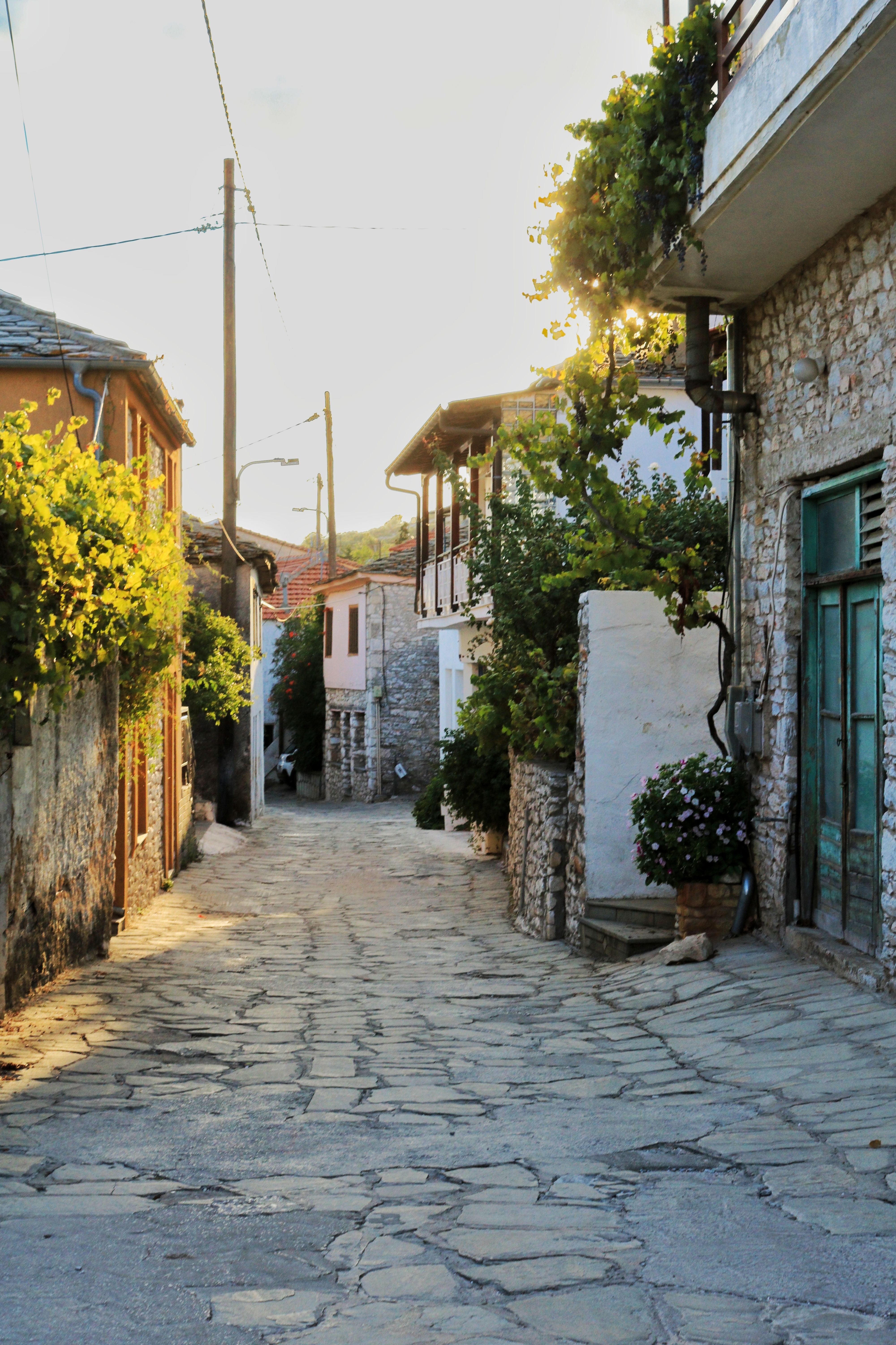 Charming Rustic Street at Sunset · Free Stock Photo
