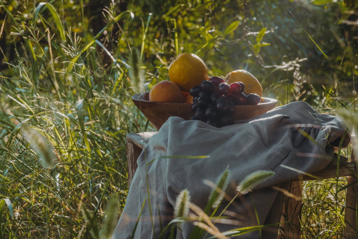 Fruit Farm Photos, Download The BEST Free Fruit Farm Stock Photos & HD ...