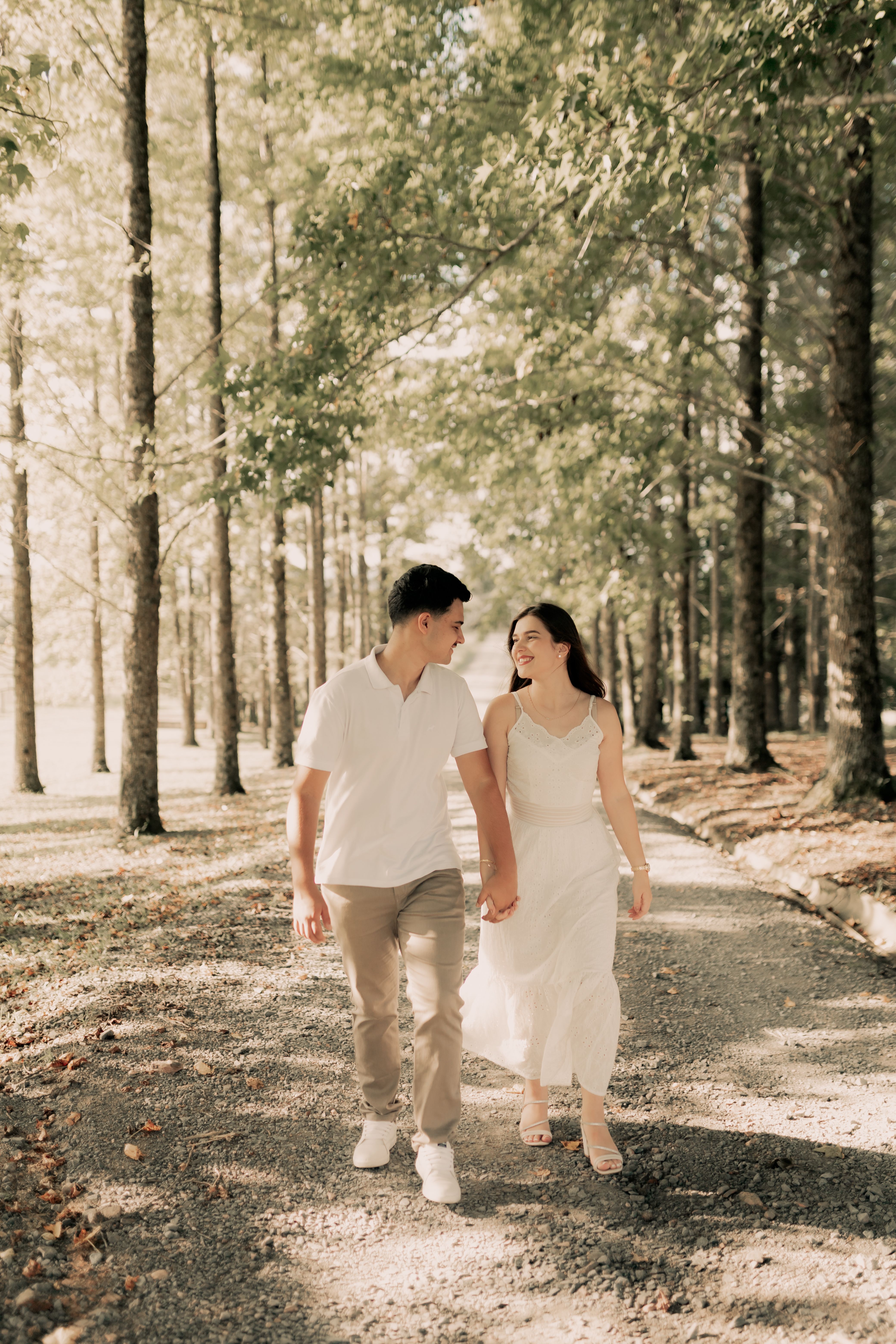 Romantic Couple Walking in Sunlit Forest Pathway · Free Stock Photo
