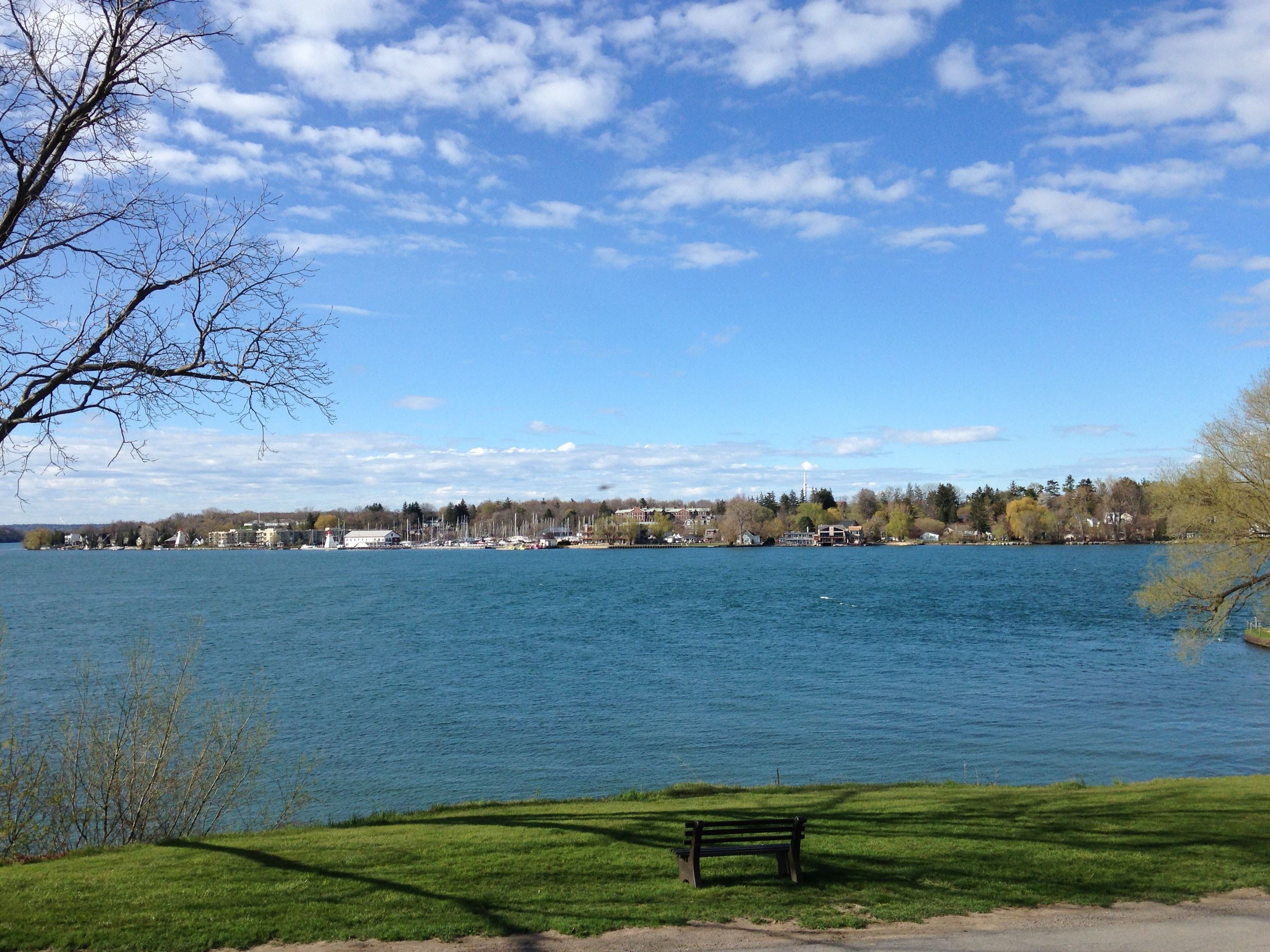 Serene Lakeside View with Clear Blue Sky · Free Stock Photo