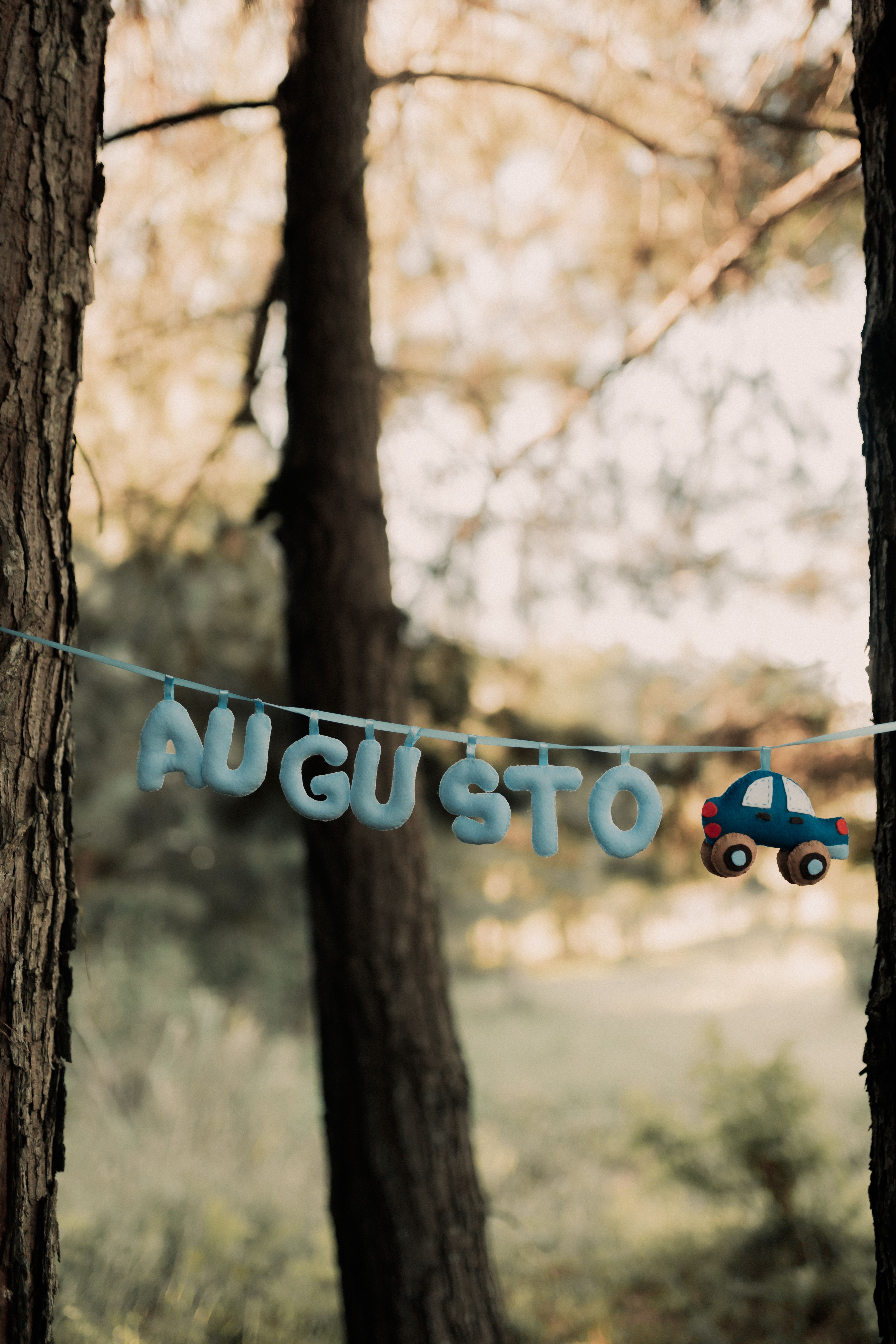 Name Banner Photos, Download The BEST Free Name Banner Stock Photos ...