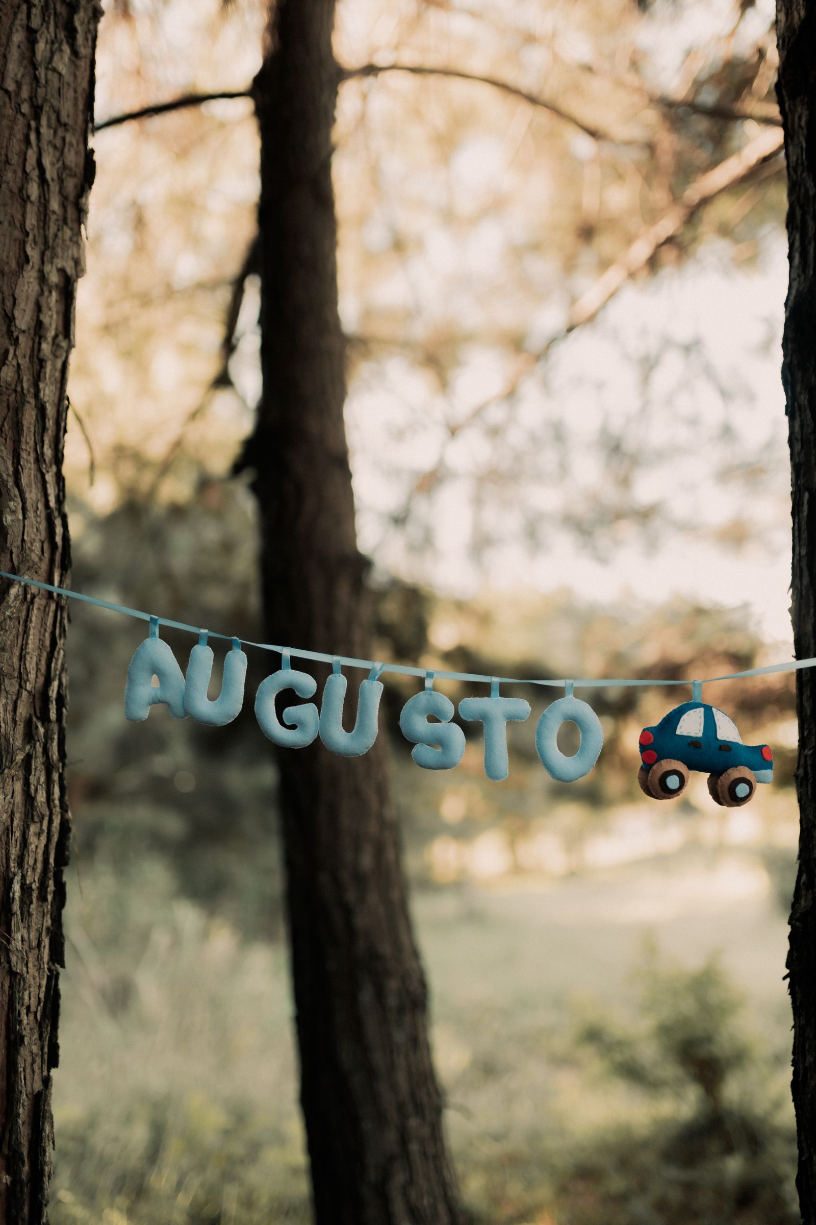 Banner Photos, Download The BEST Free Banner Stock Photos & HD Images