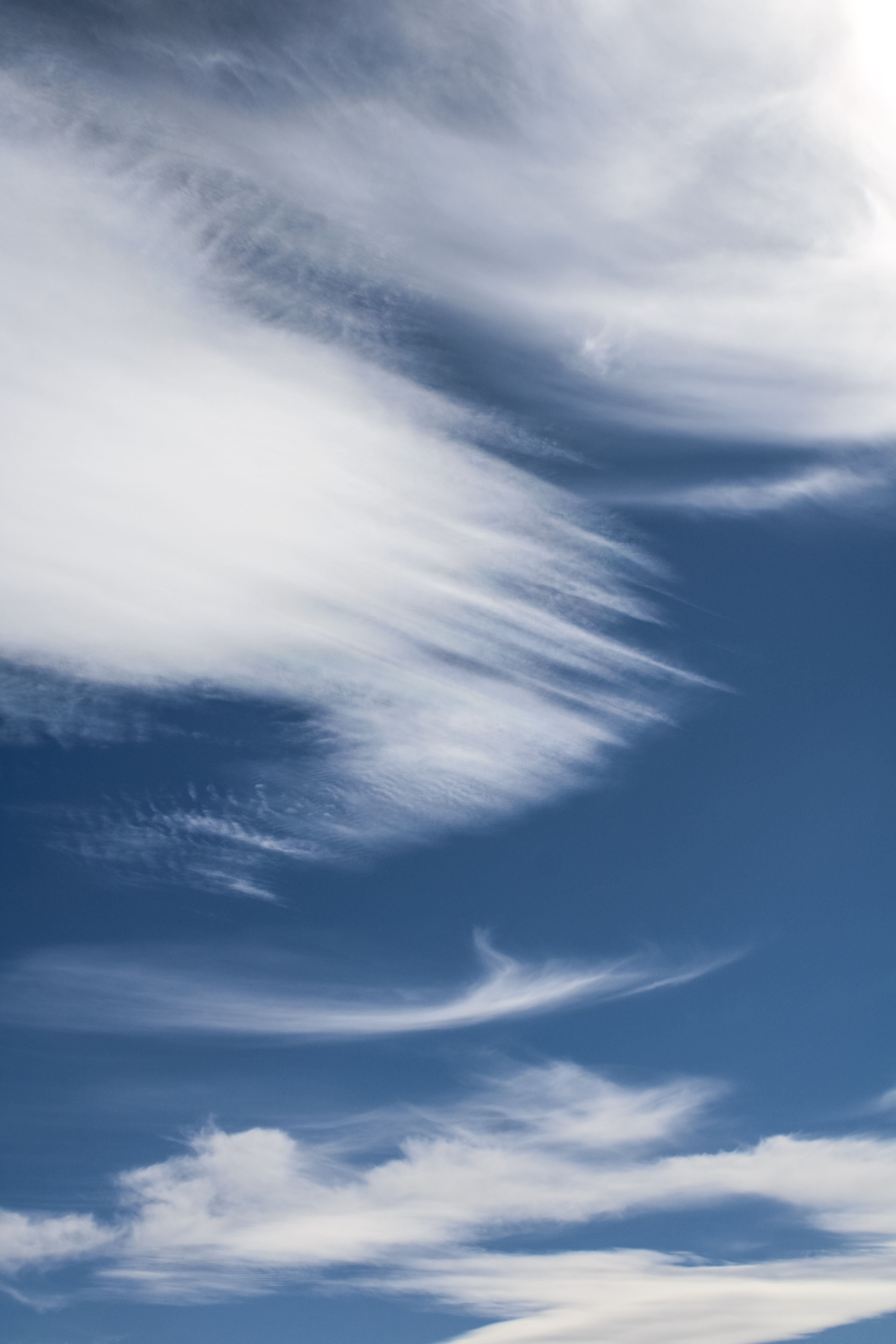 Cielo Sereno Con Nubes Cirros Caprichosas · Foto de stock gratuita