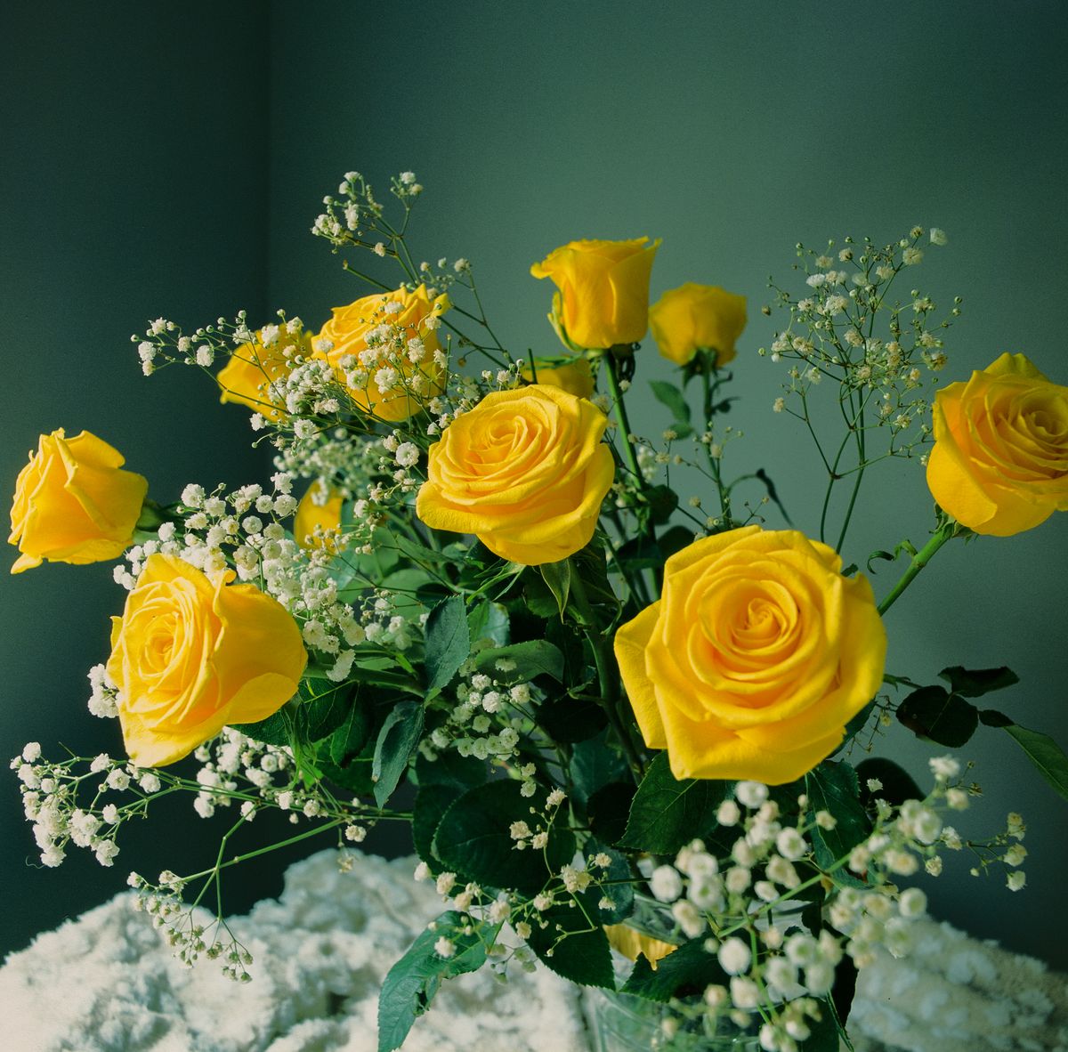 Yellow Roses Photos, Download The BEST Free Yellow Roses Stock Photos ...