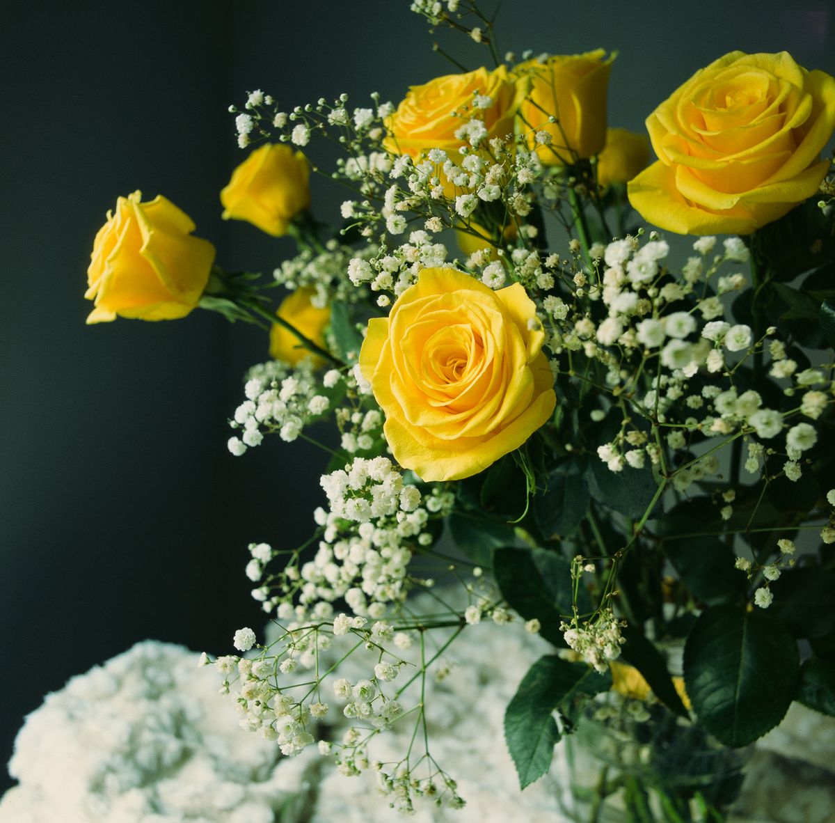 Flowers Yellow Photos, Download The BEST Free Flowers Yellow Stock ...