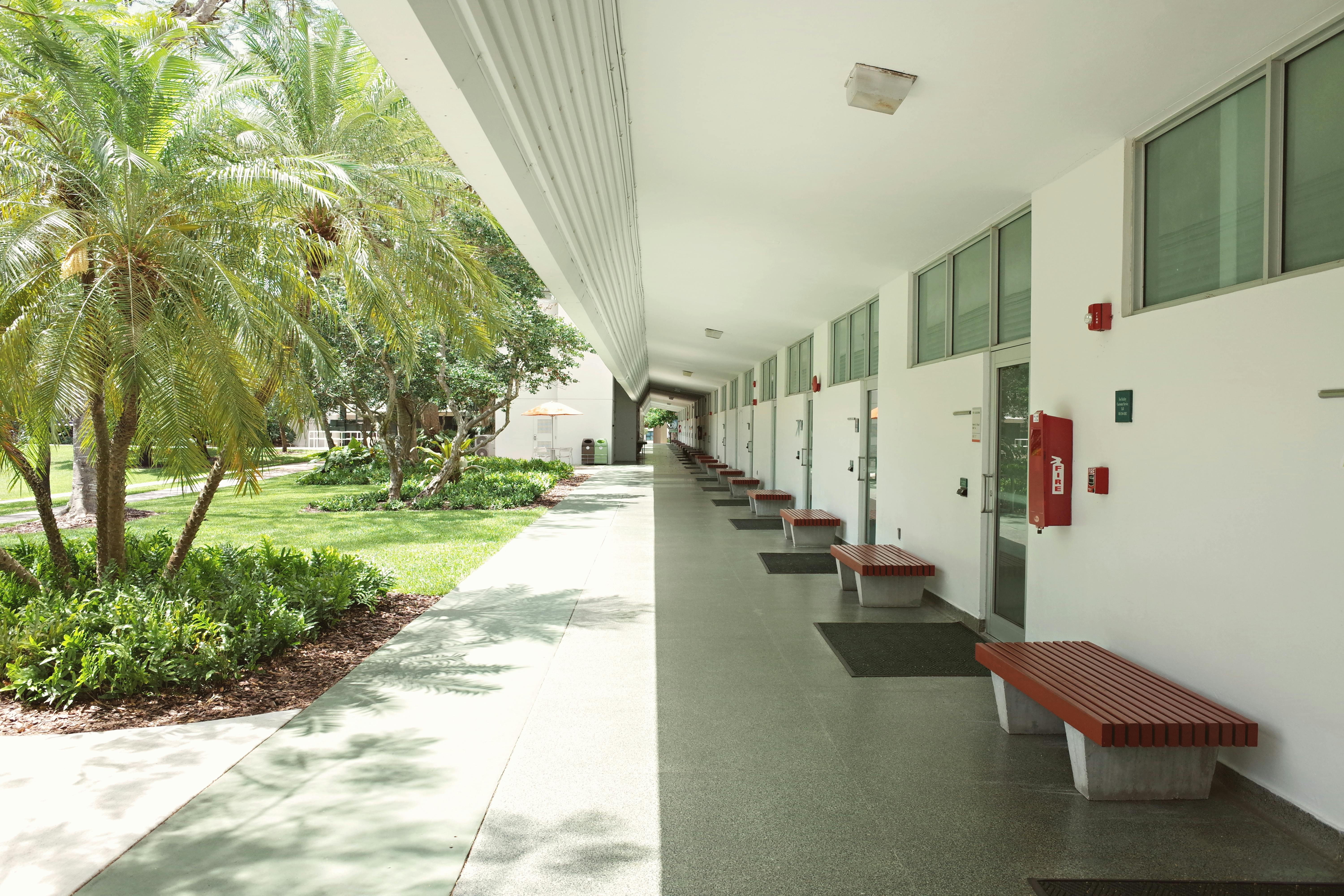 Modern University Campus Walkway in Coral Gables · Free Stock Photo