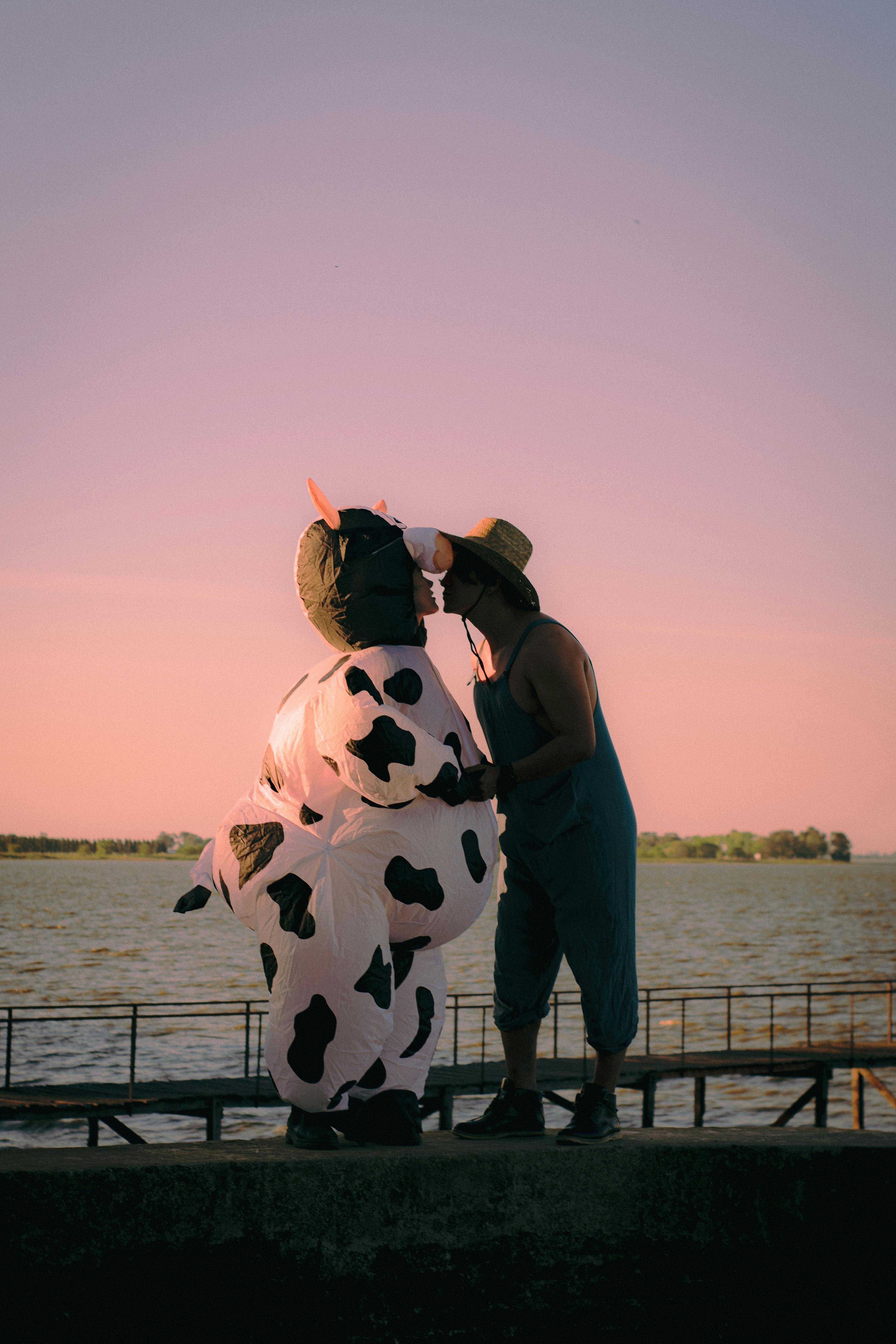 Funny Comedy Photos, Download The BEST Free Funny Comedy Stock Photos ...