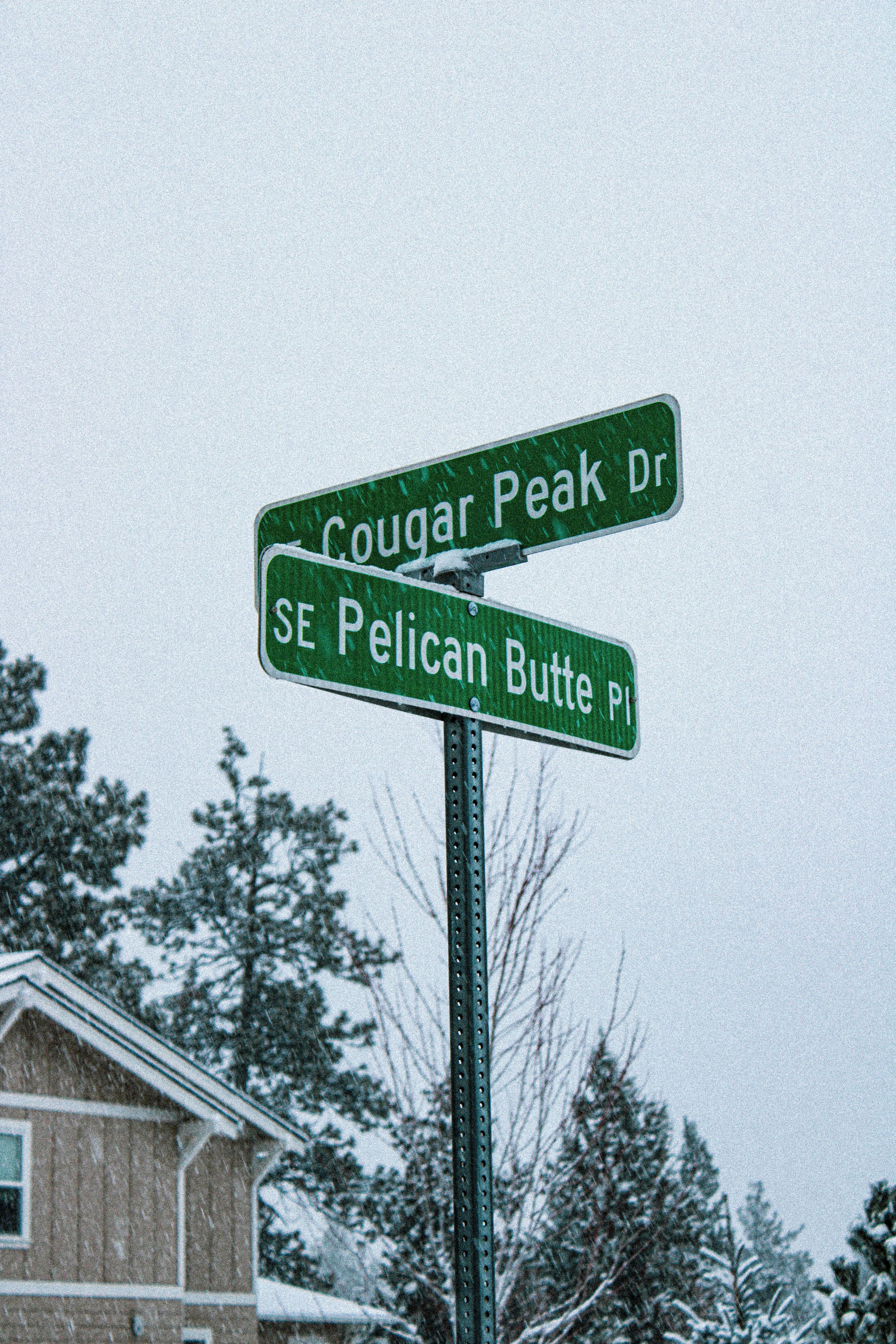 Street Signs in Winter Landscape · Free Stock Photo