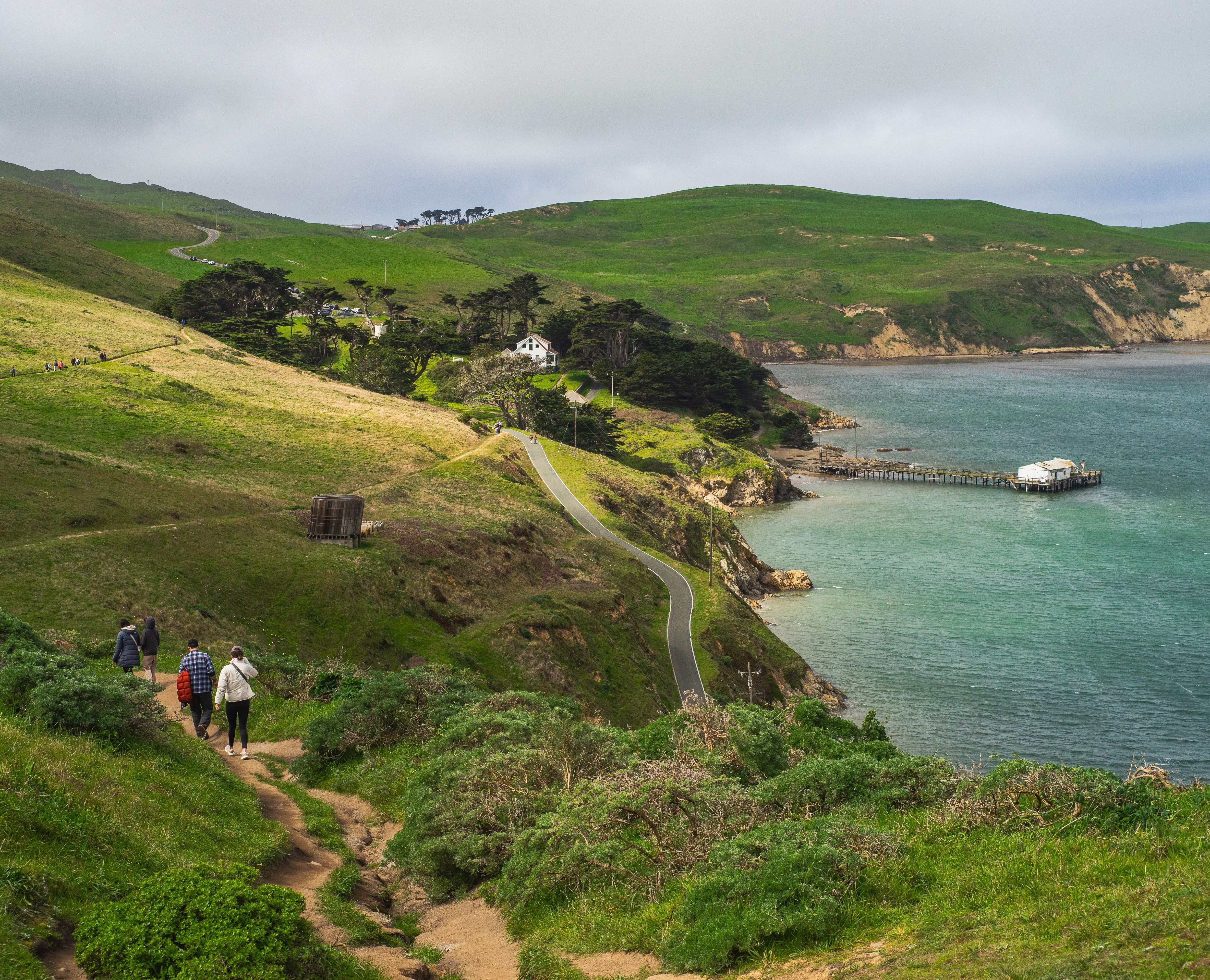 Scenic Coastal Hiking Path in Rolling Hills · Free Stock Photo