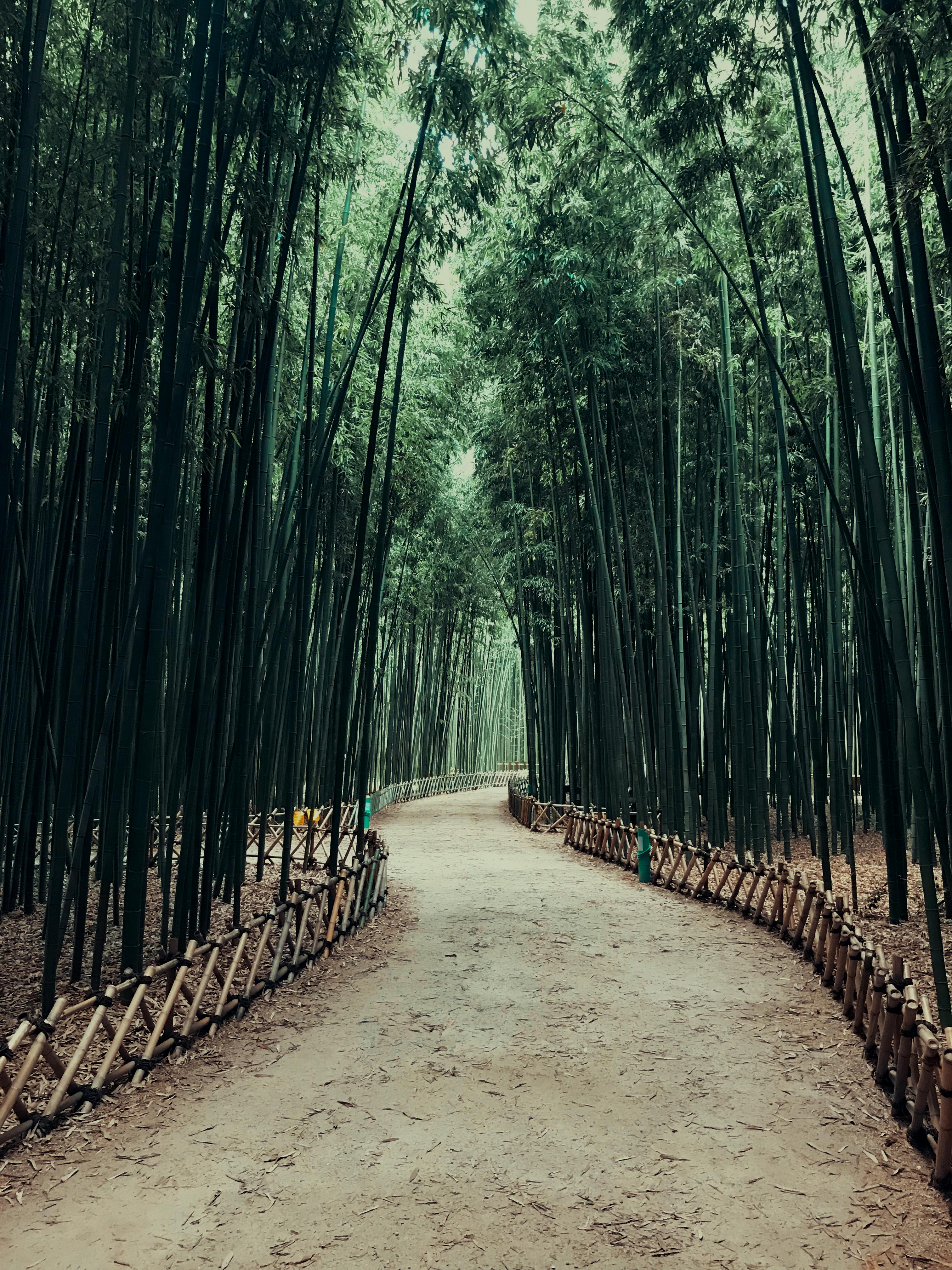 Korea Tracer Photos, Download The BEST Free Korea Tracer Stock Photos ...