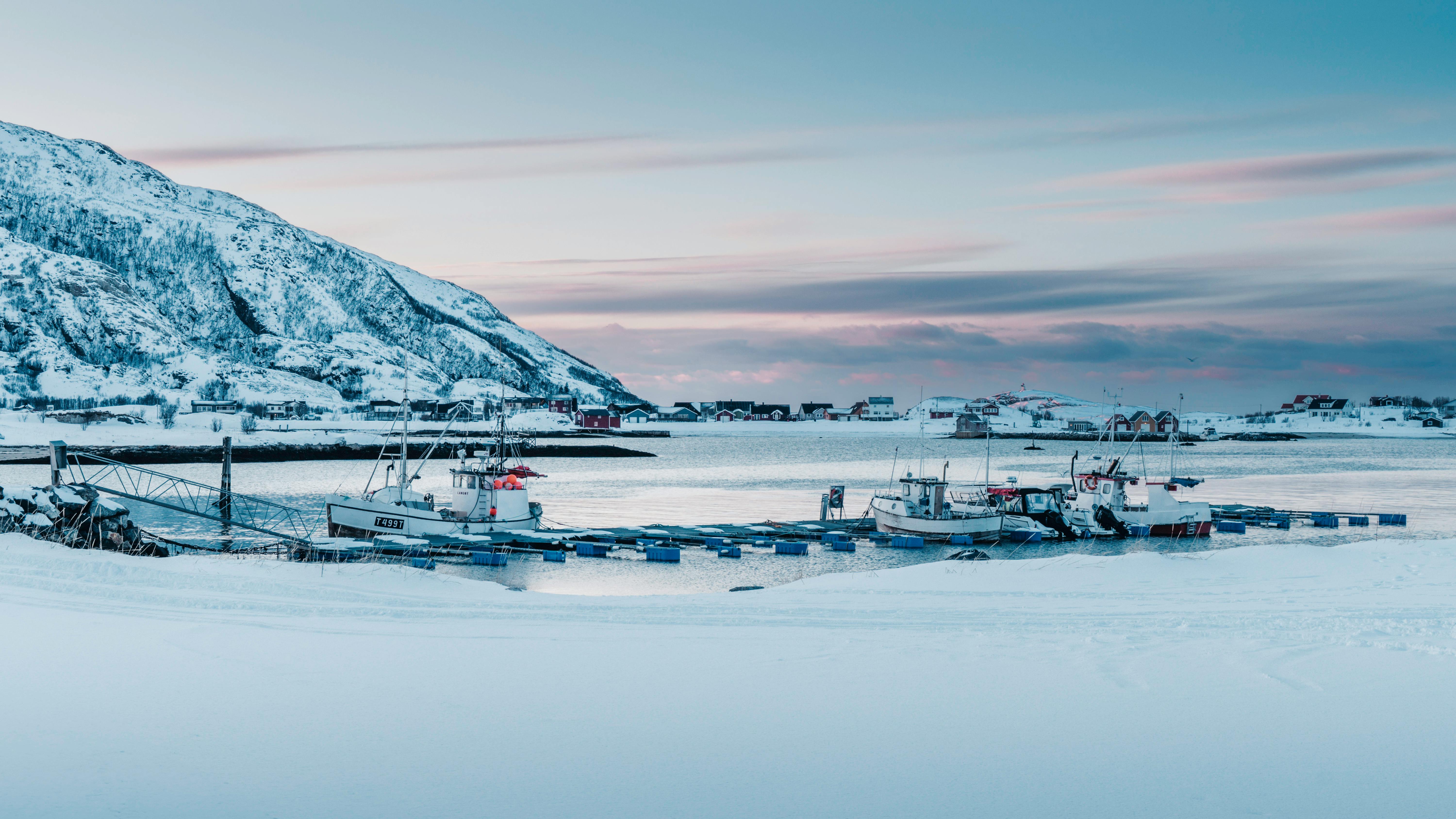 Winter Scene of Fishing Boats in Sommarøy, Norway · Free Stock Photo