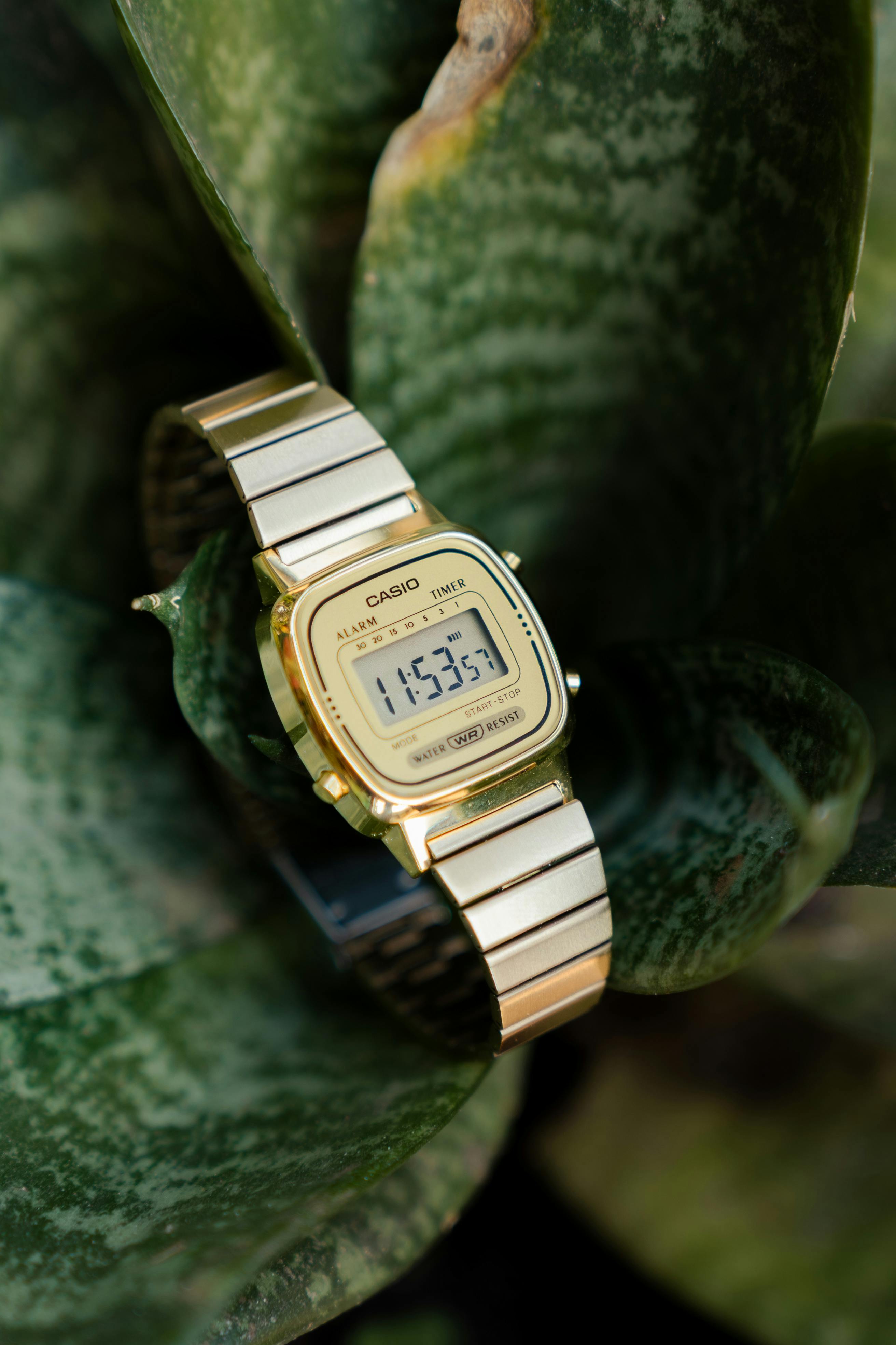 Vintage Gold Digital Watch on Leafy Background · Free Stock Photo