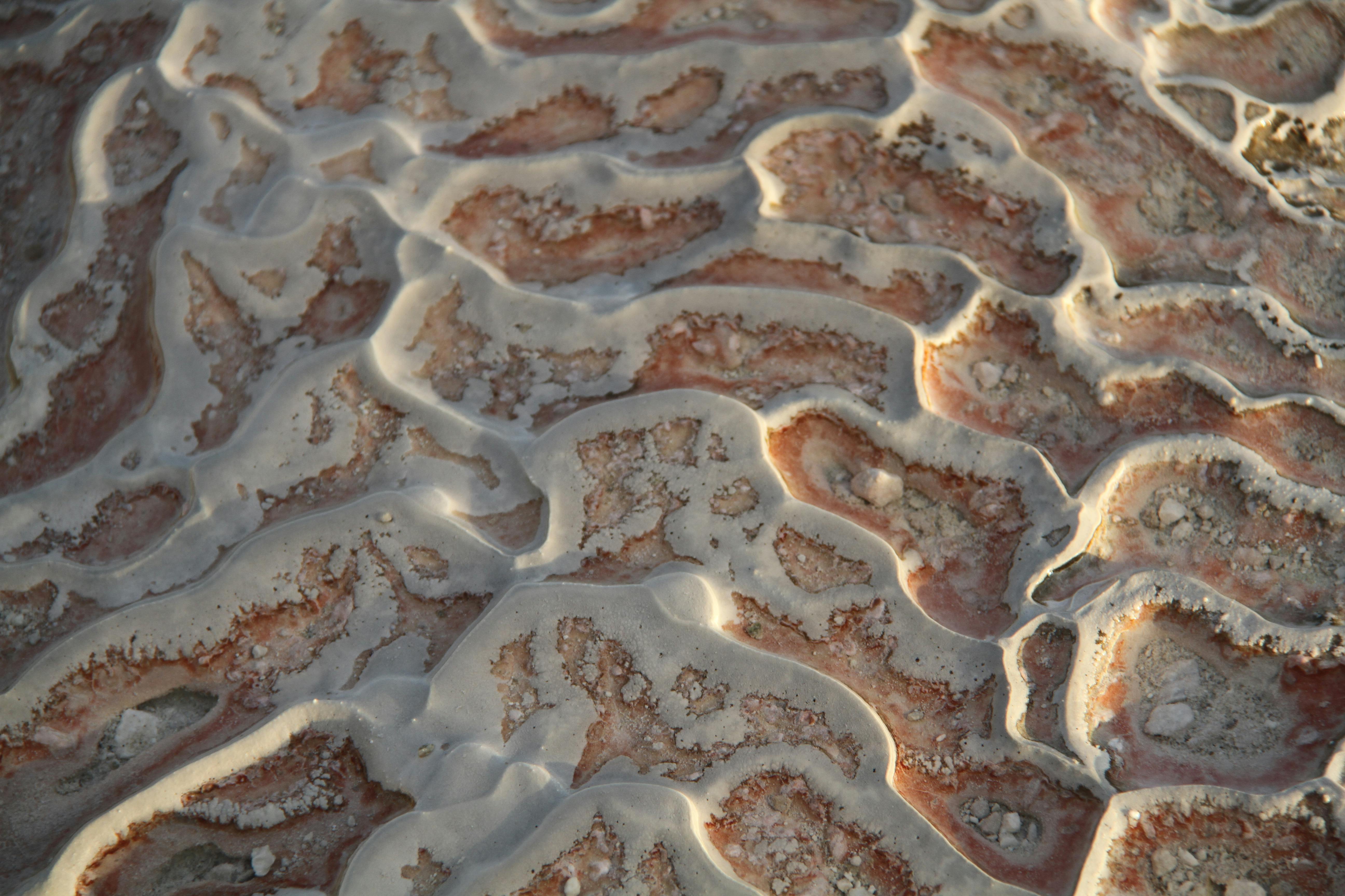 Wavy Revolution Photos, Download The BEST Free Wavy Revolution Stock ...