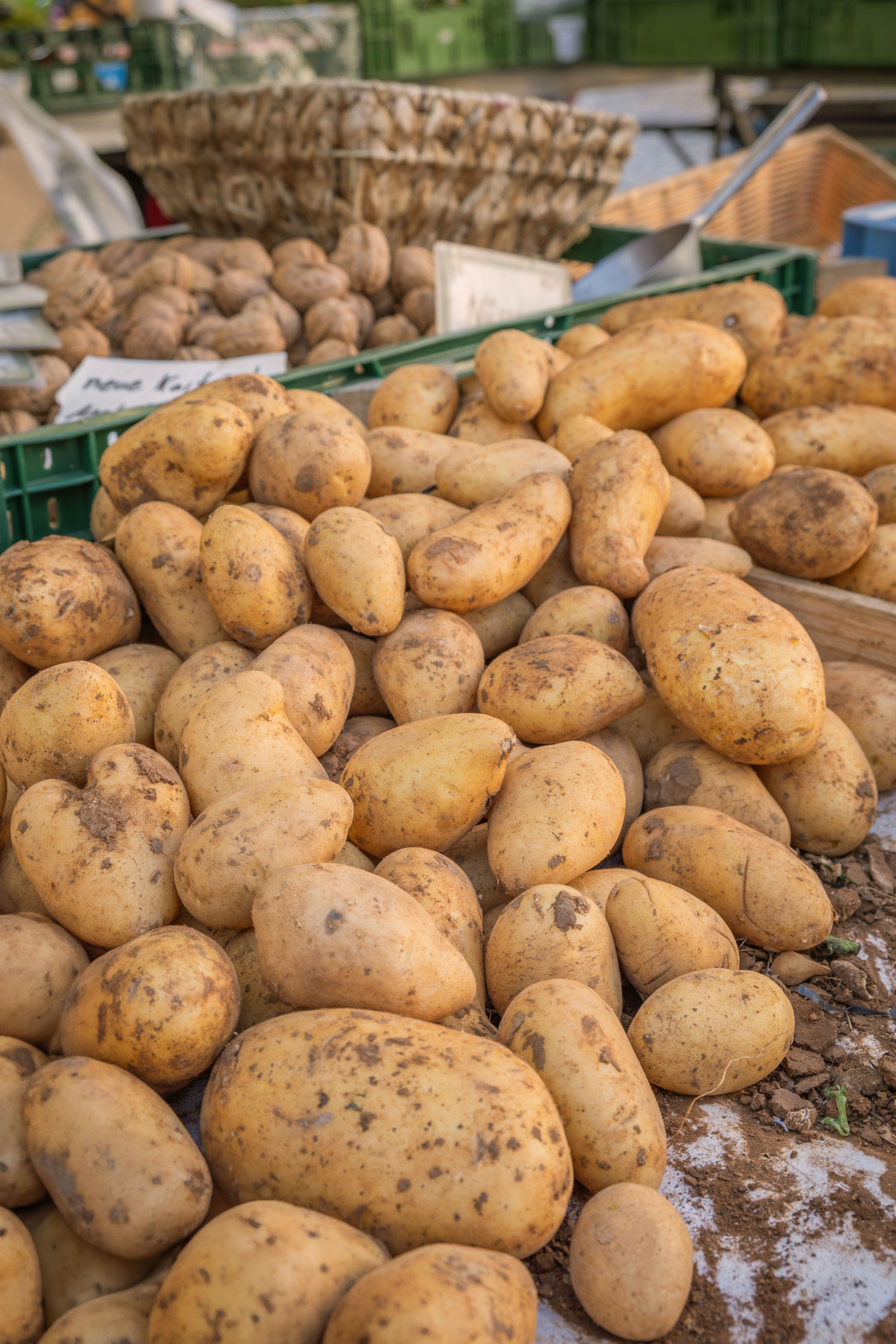 Fresh Potatoes at Freiburg Farmers Market · Free Stock Photo