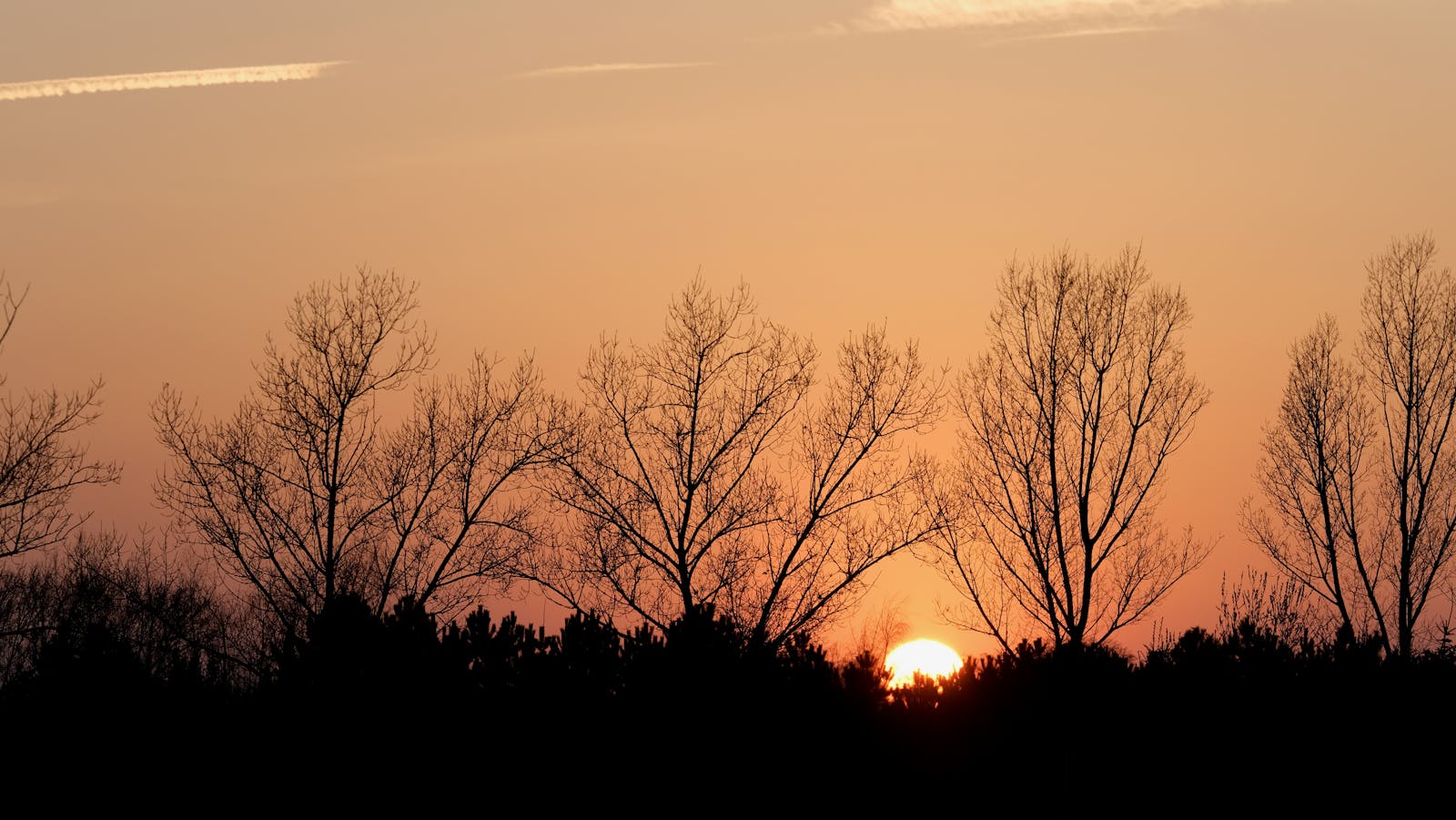 Pretty Sunset Photos, Download The BEST Free Pretty Sunset Stock Photos ...