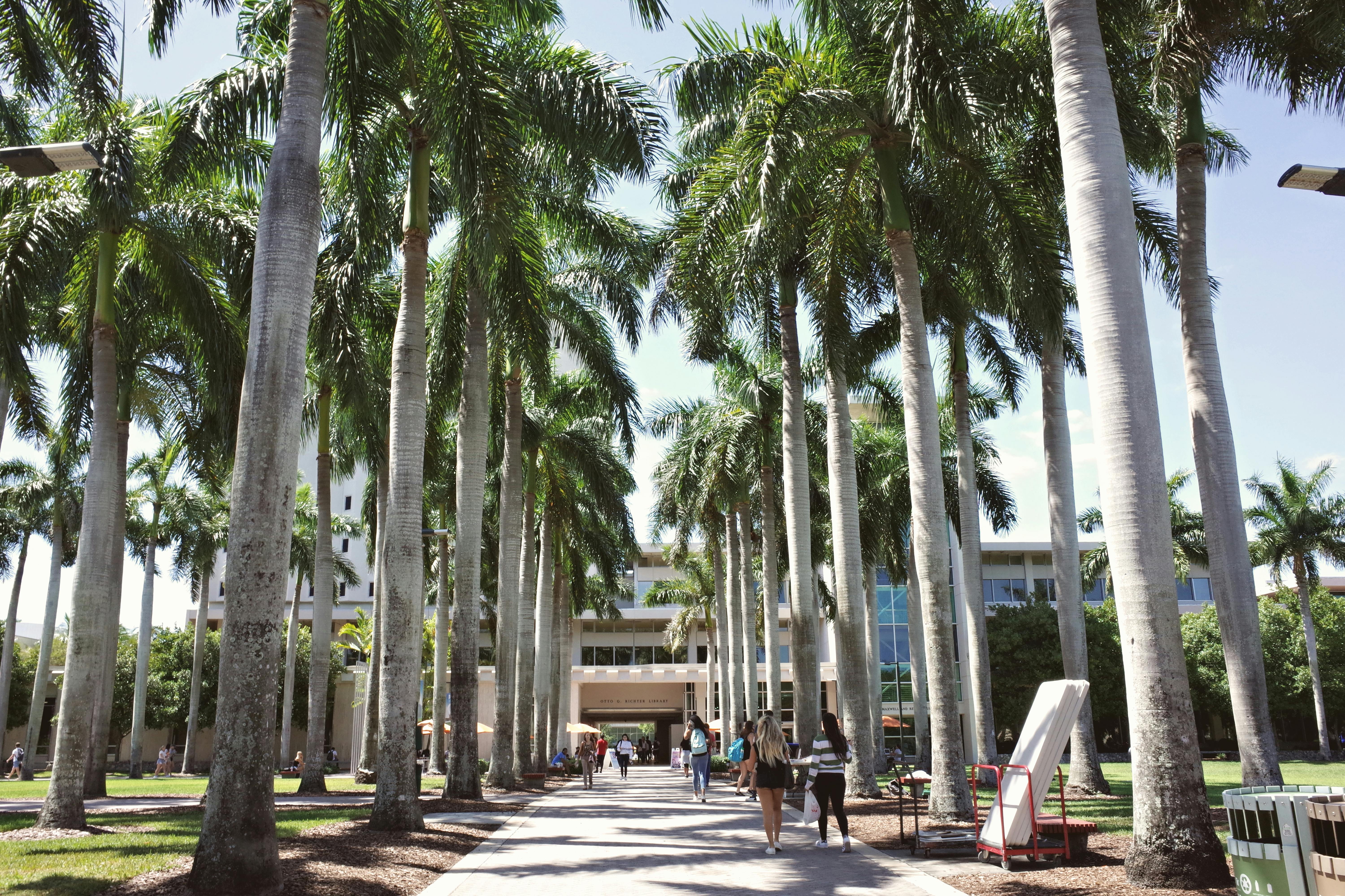 University of Miami Campus with Palm Trees · Free Stock Photo
