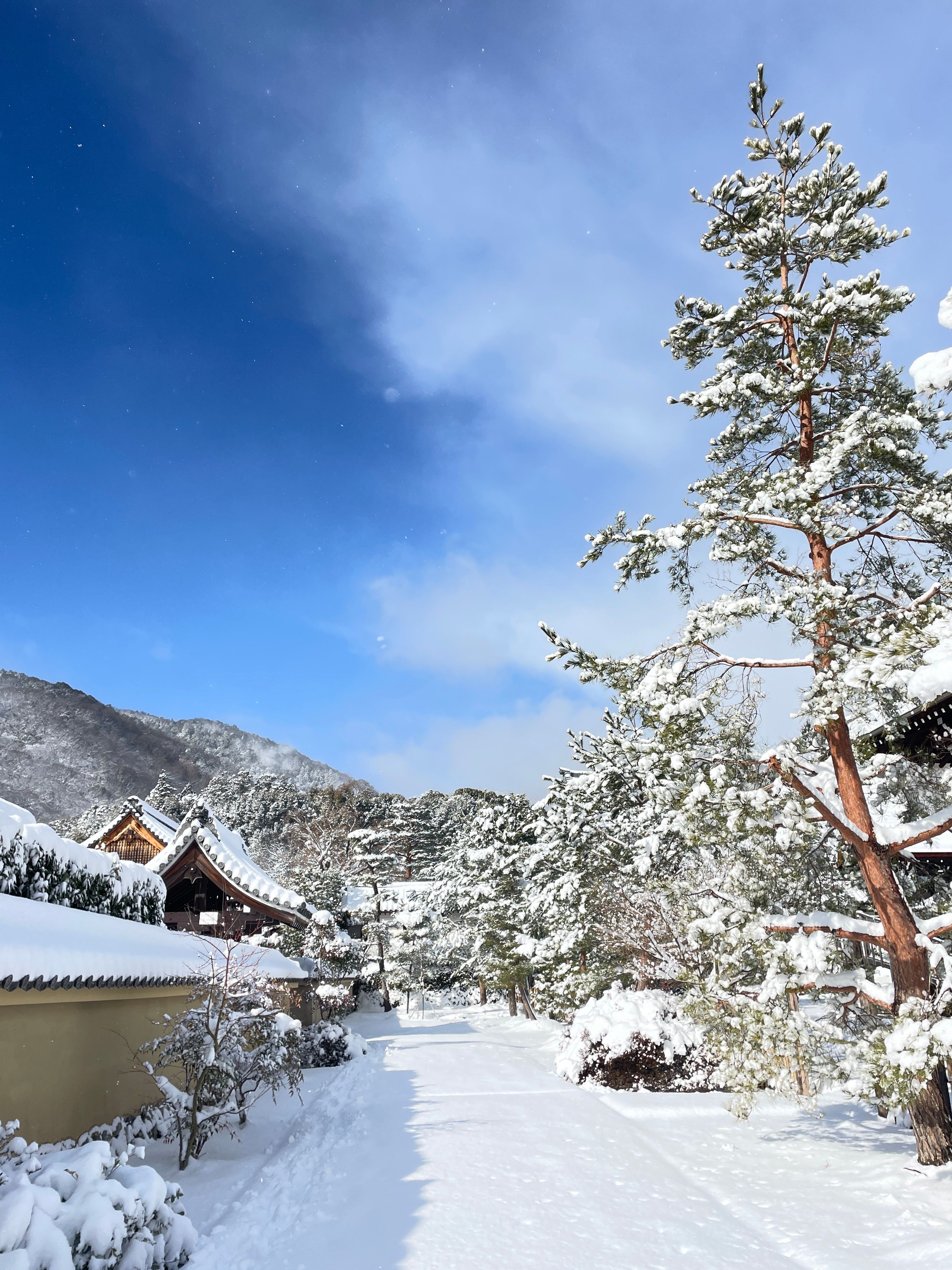 Serene Snowy Landscape with Traditional Japanese Architecture · Free ...