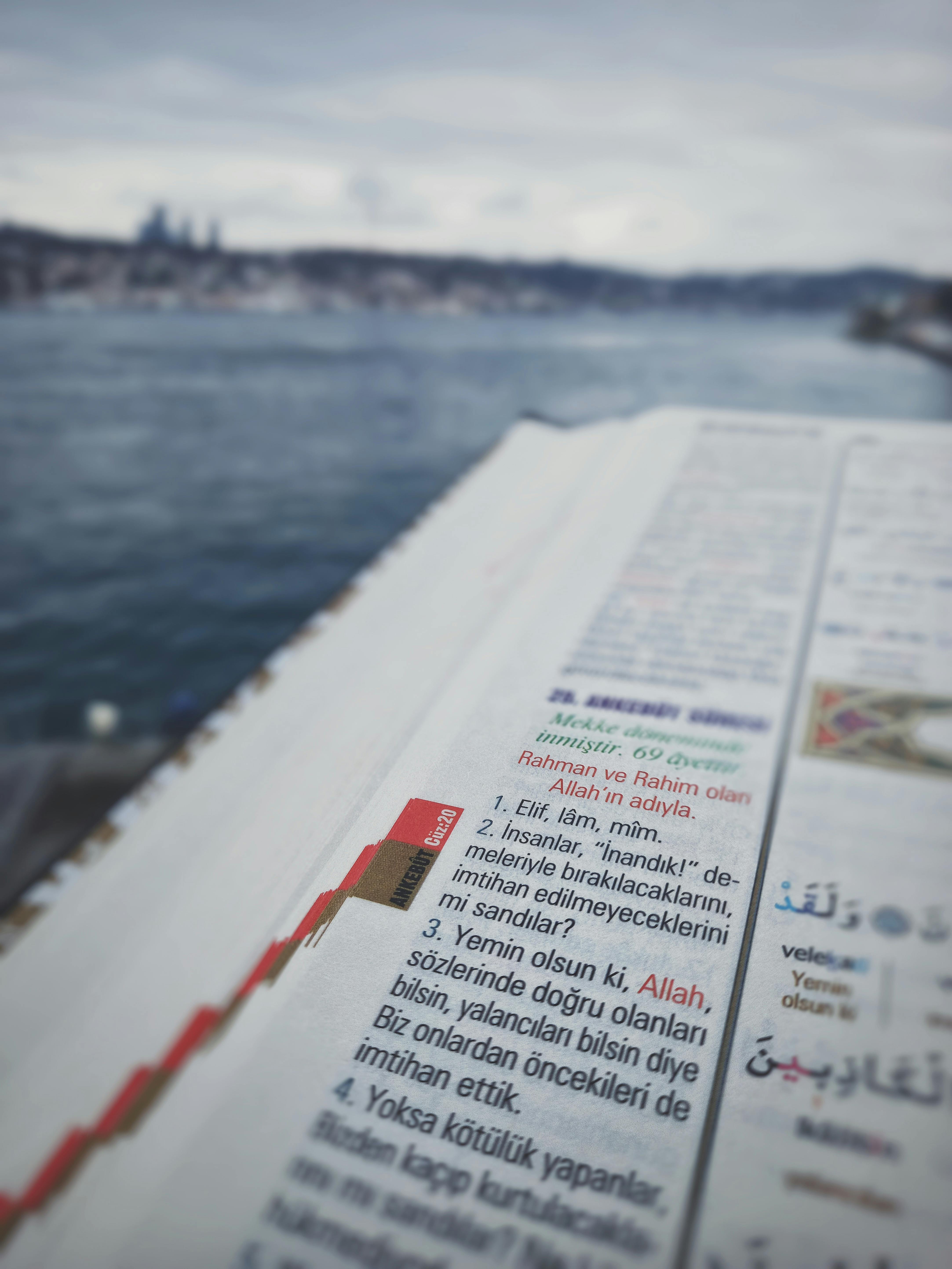 Writing And Translation Photos, Download The BEST Free Writing And ...