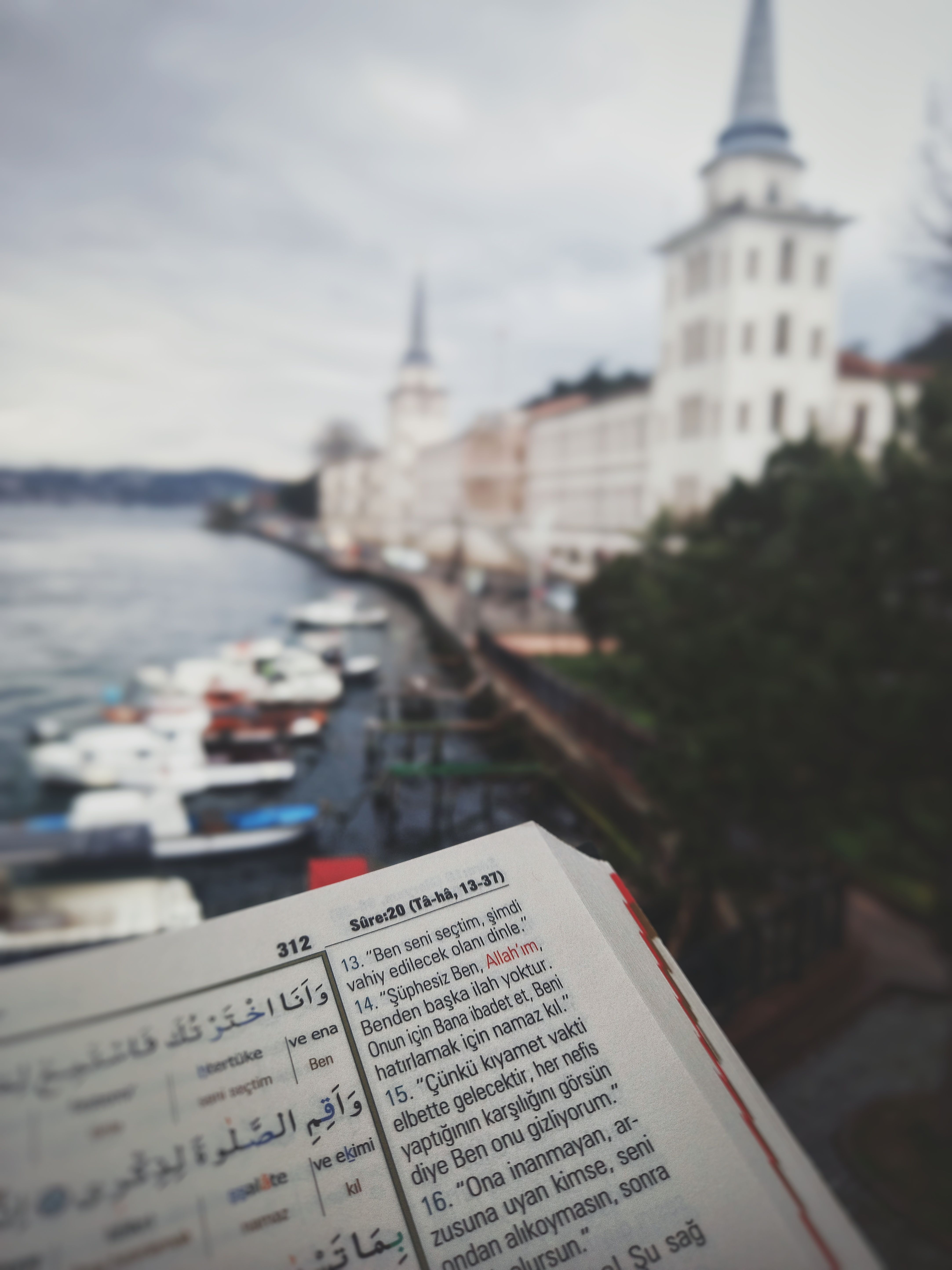 Open Book with Blurred Cityscape View · Free Stock Photo