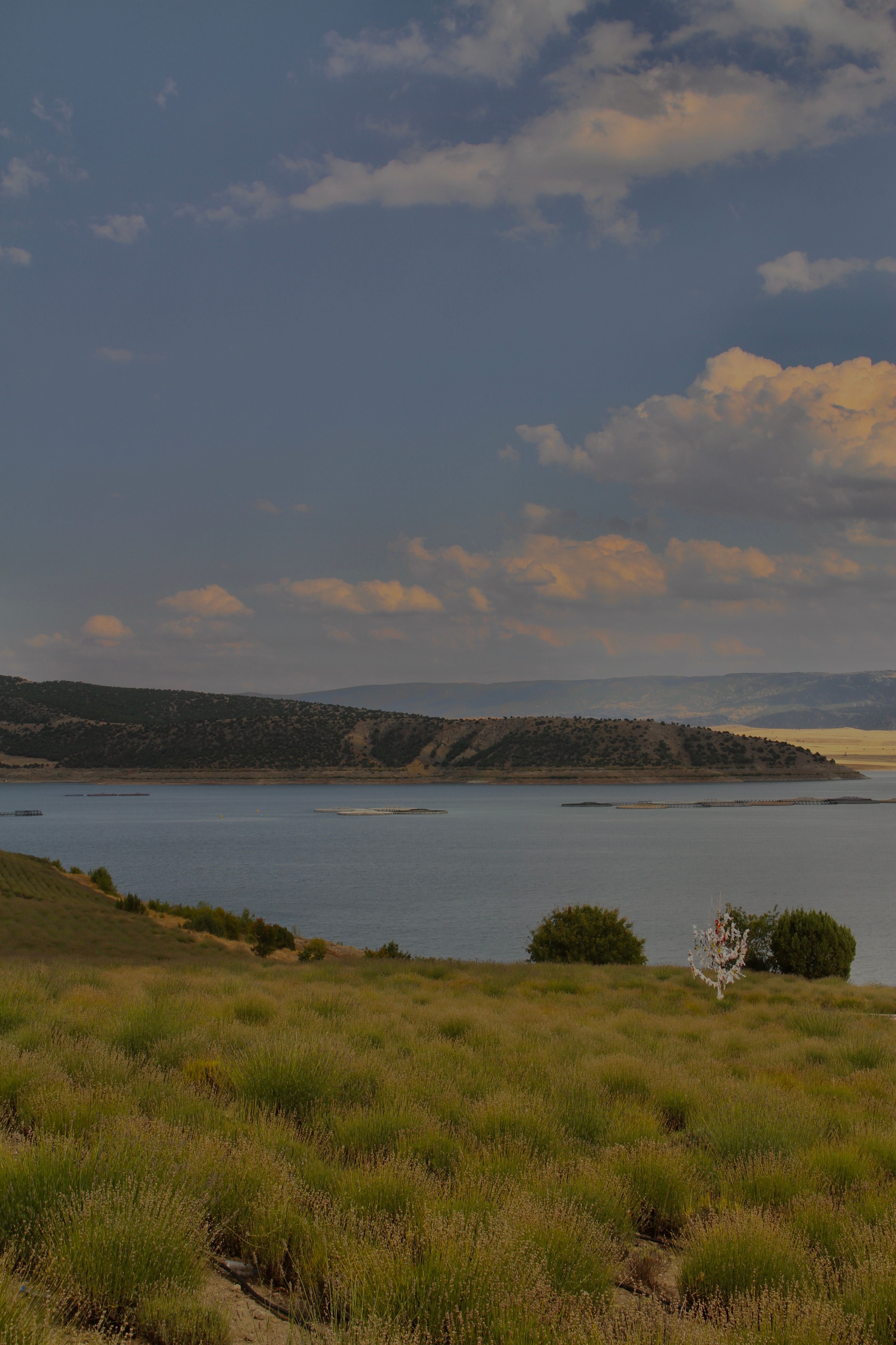 Serene Lakeside View with Rolling Hills and Sky · Free Stock Photo