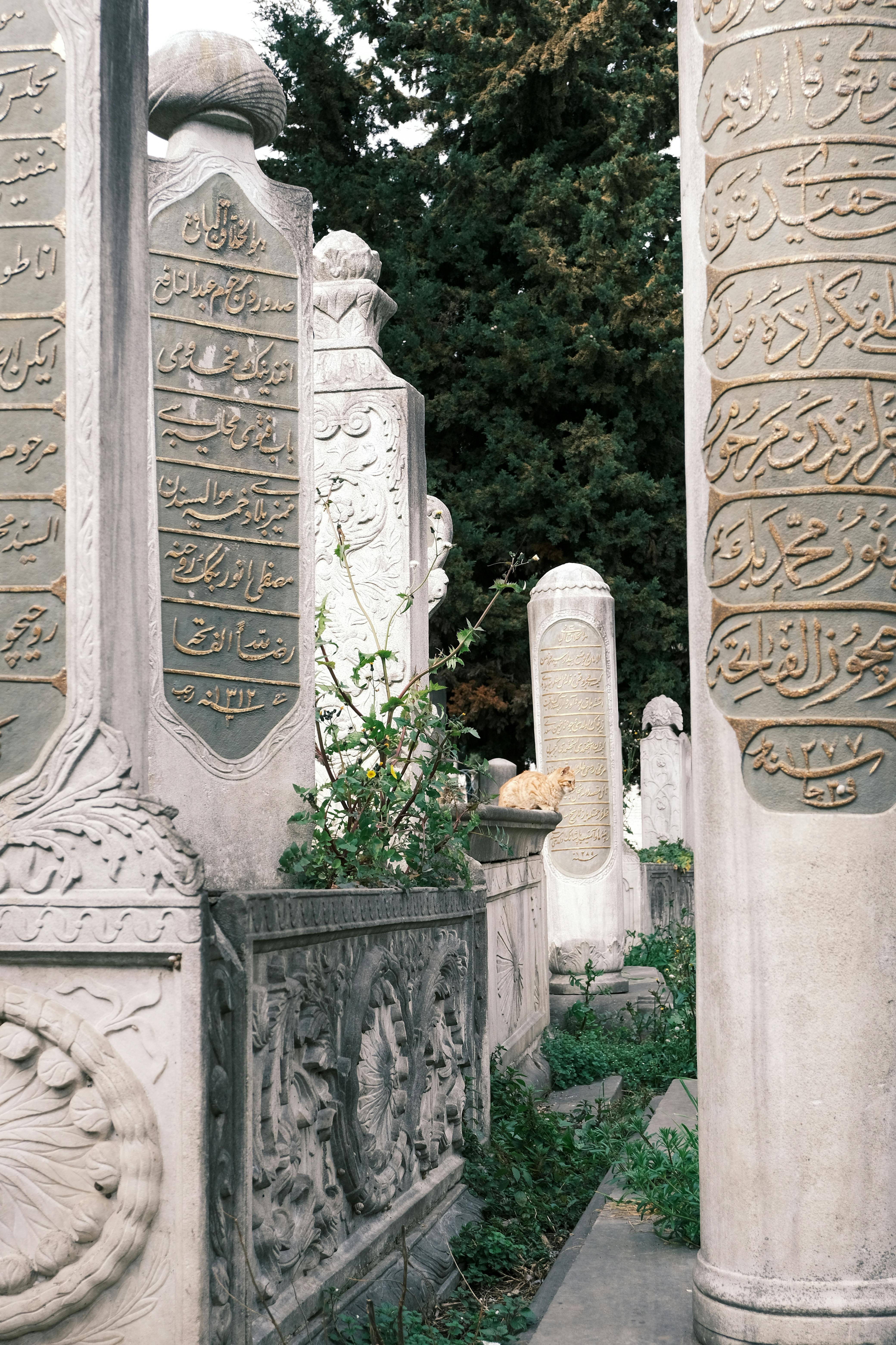 Historic Cemetery with Arabic Script Tombstones · Free Stock Photo