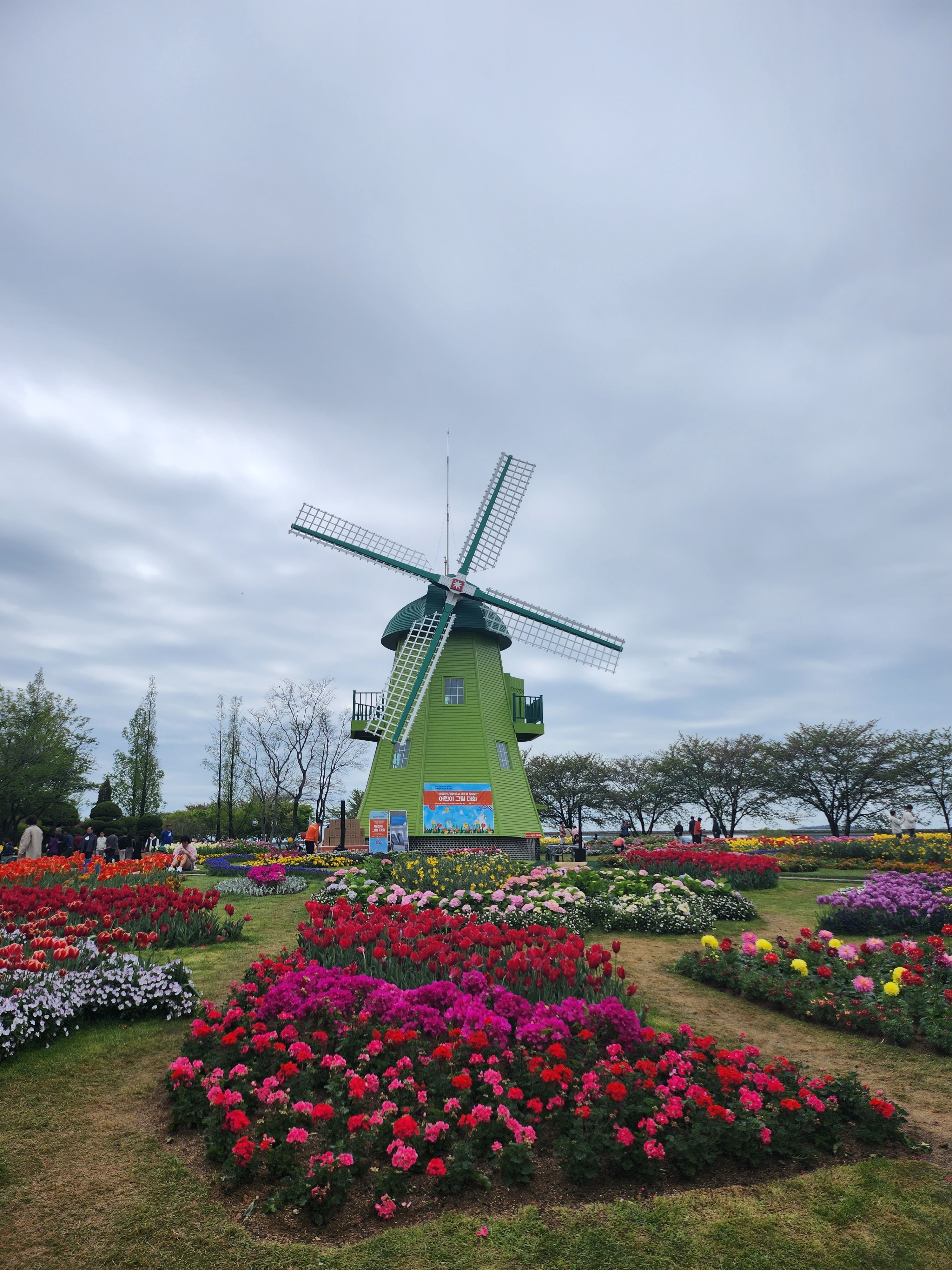 Vibrant Windmill Garden in Gwangju with Blooming Flowers · Free Stock Photo