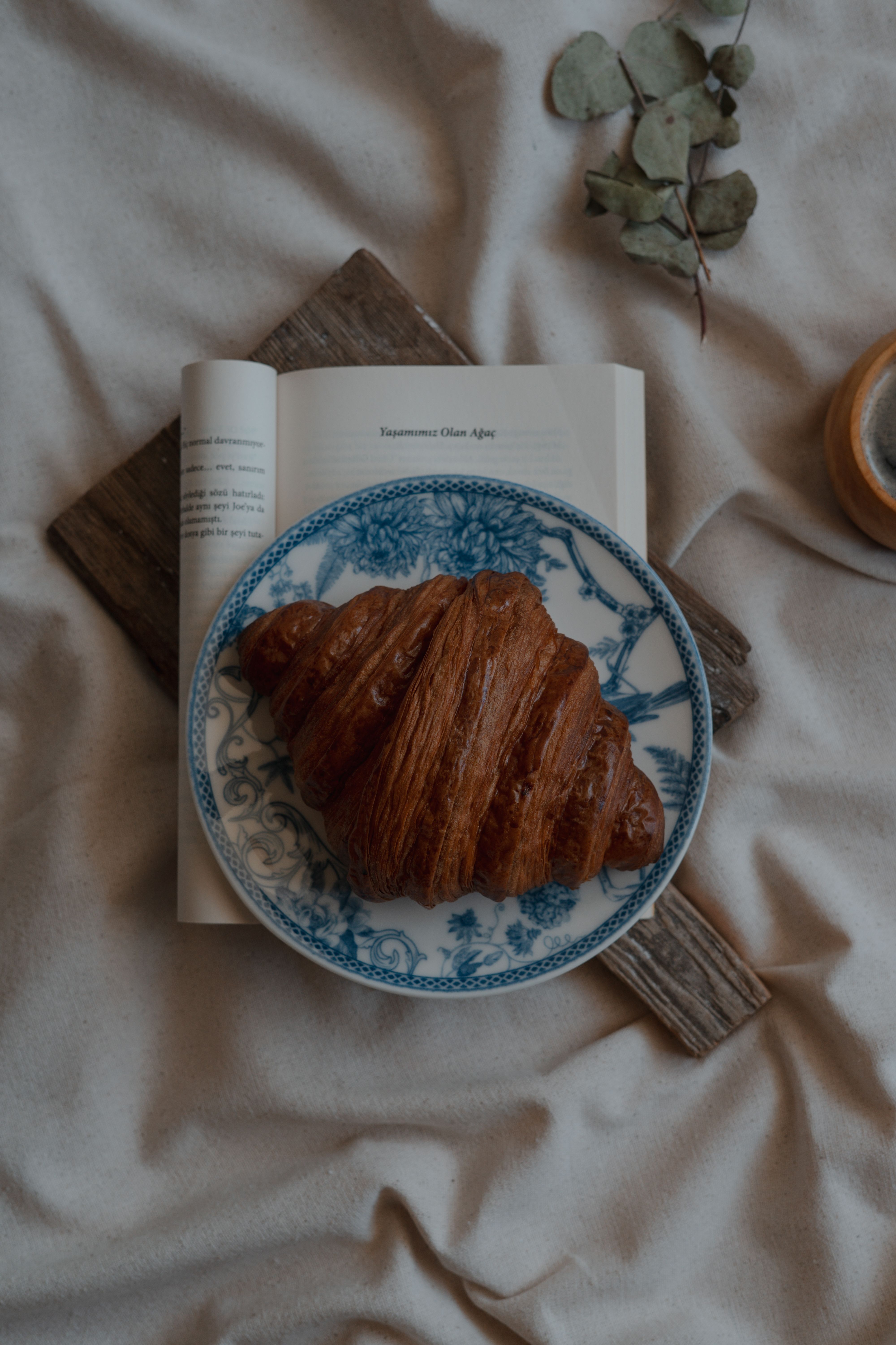 Elegant Still Life with Croissant and Book · Free Stock Photo
