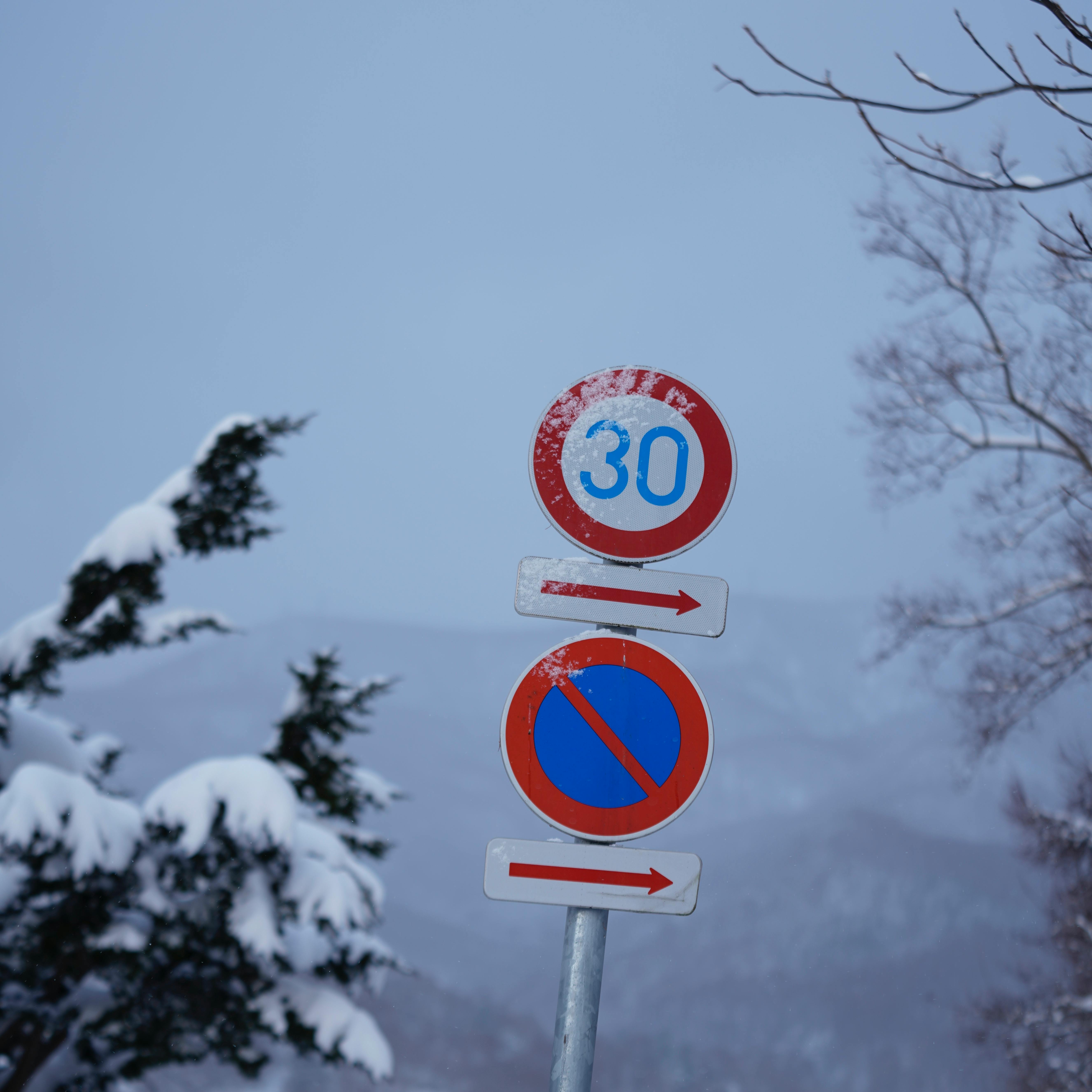 Snowy Winter Road Sign with Speed Limit · Free Stock Photo