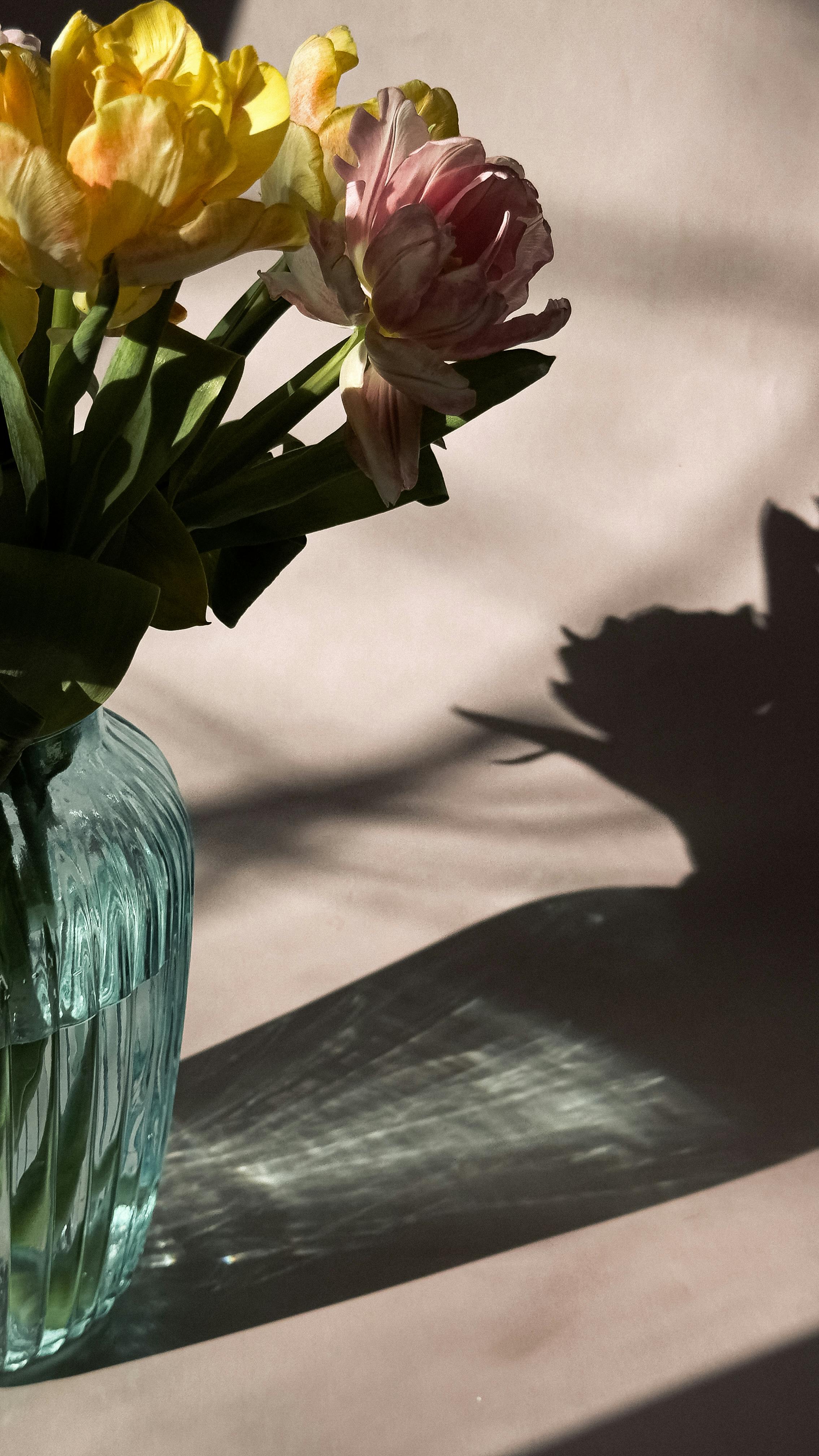 Elegant Tulip Bouquet in Glass Vase with Shadow · Free Stock Photo