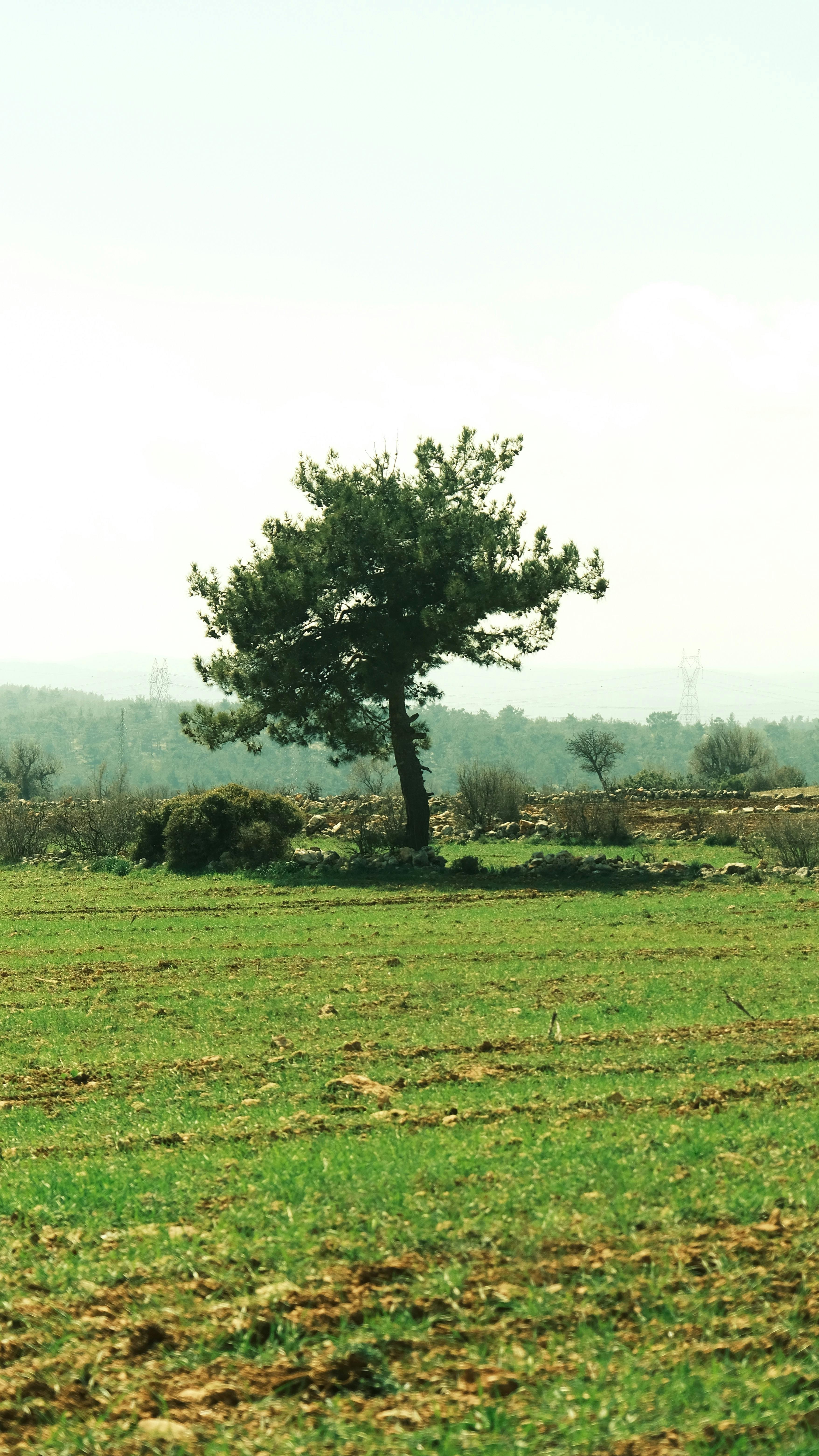 Sabah Land Photos, Download The BEST Free Sabah Land Stock Photos & HD ...