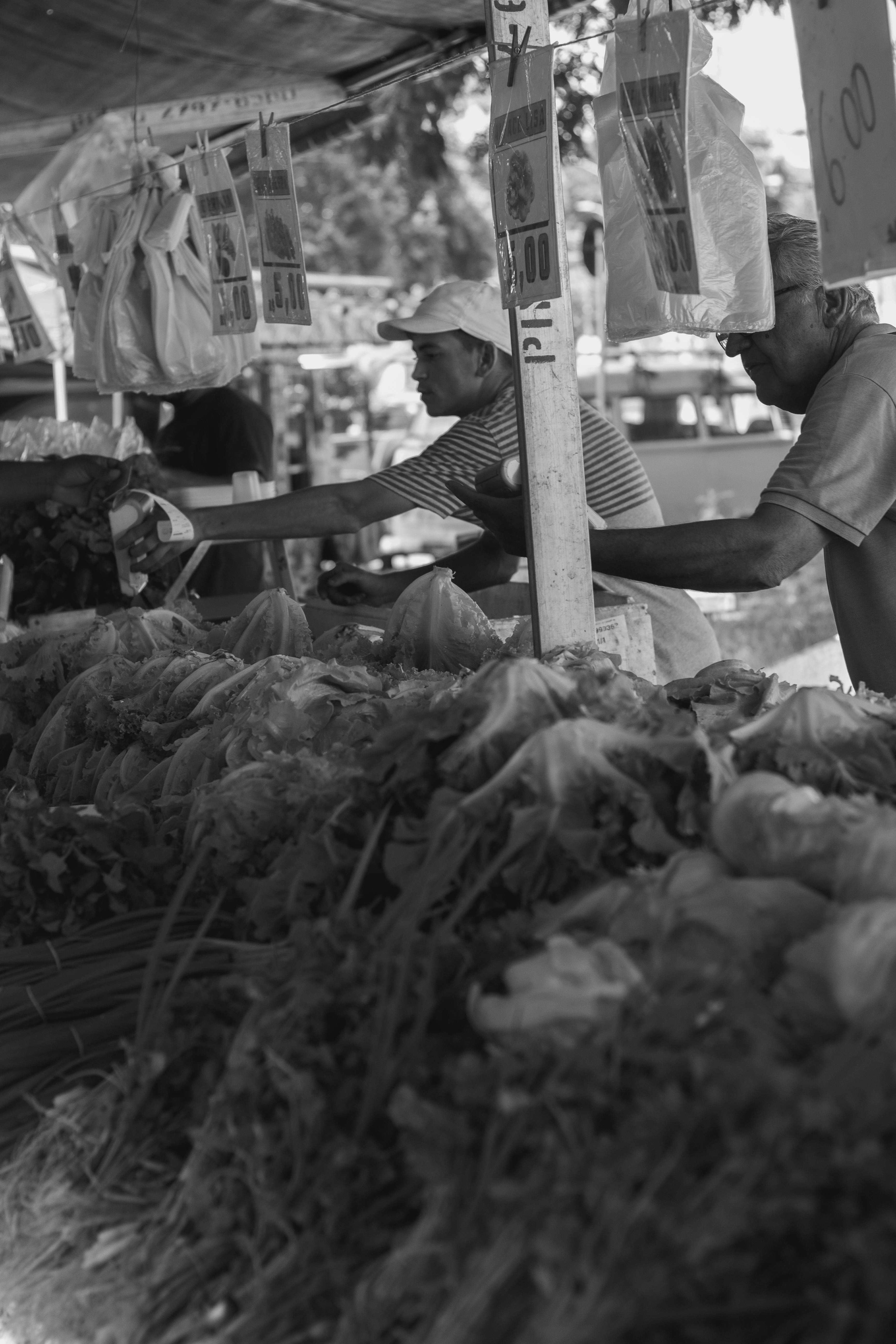 Local Market Scene in São Paulo, Brazil · Free Stock Photo