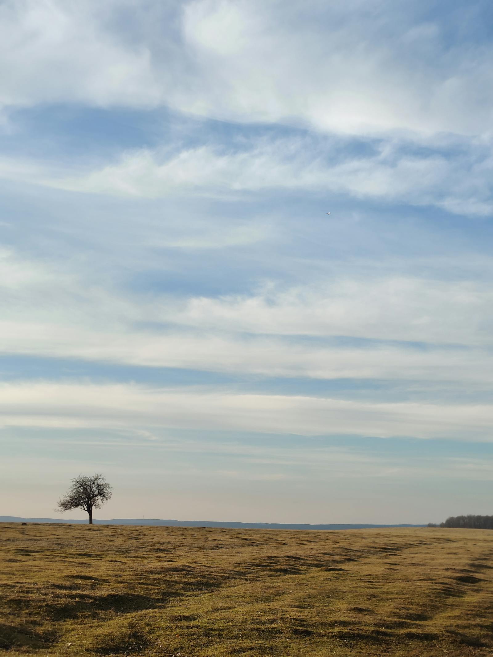 Wide Open Legs Photos, Download The BEST Free Wide Open Legs Stock ...