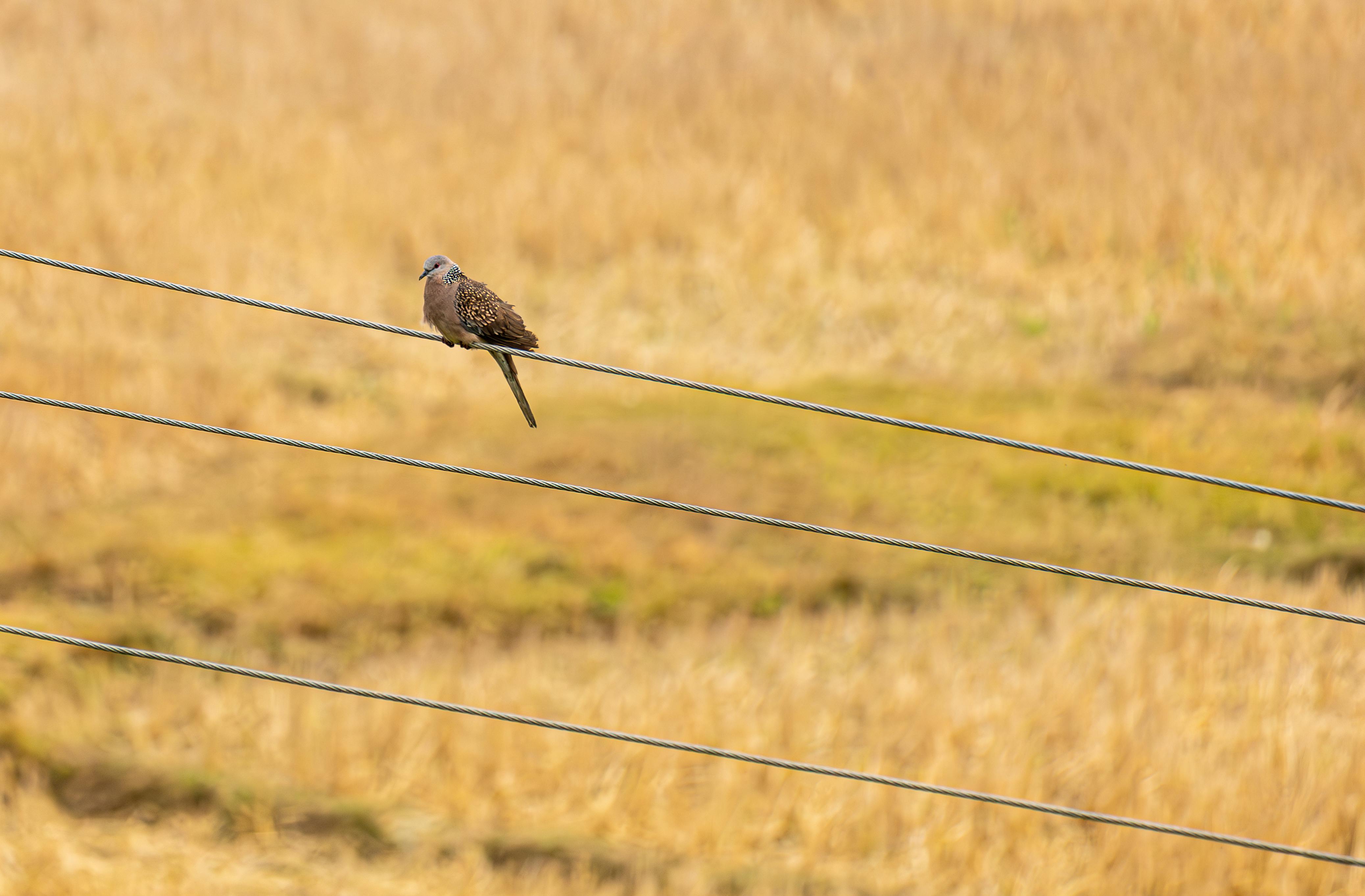 Toa Tan Xong Photos, Download The BEST Free Toa Tan Xong Stock Photos ...