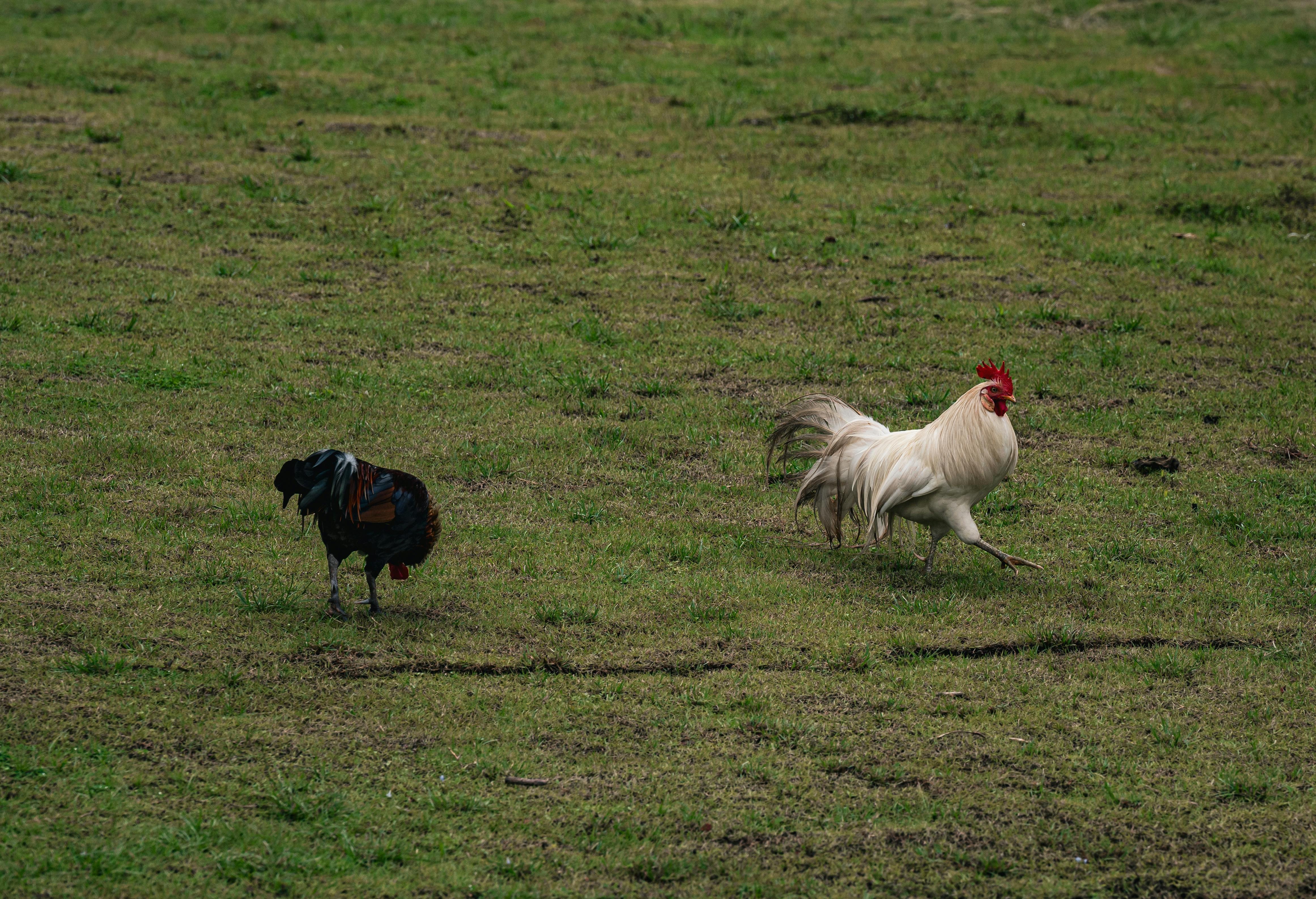 +Free+Online+Video+Downloader Photos, Download The BEST Free +Free ...