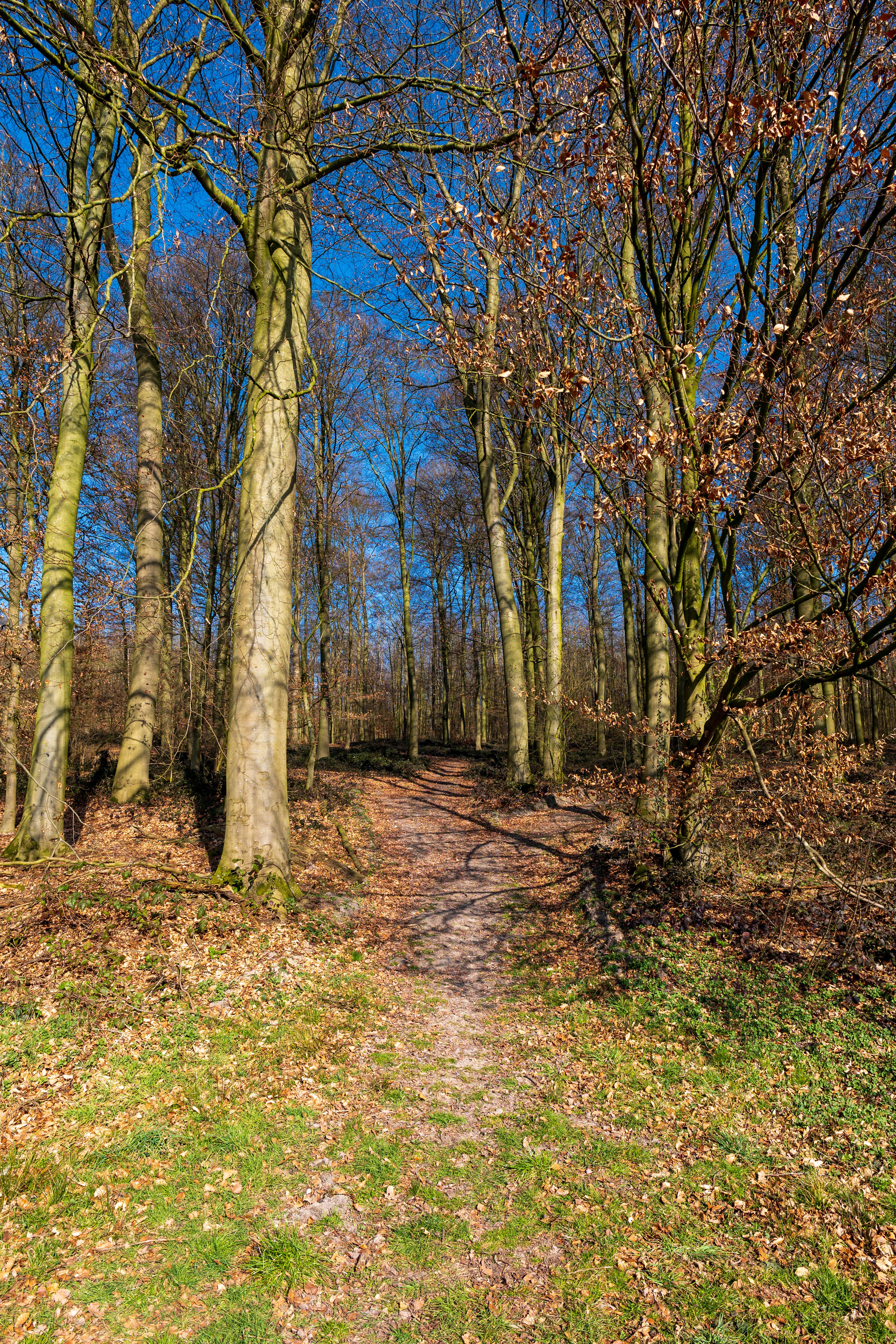 Spring Hike Photos, Download The BEST Free Spring Hike Stock Photos ...