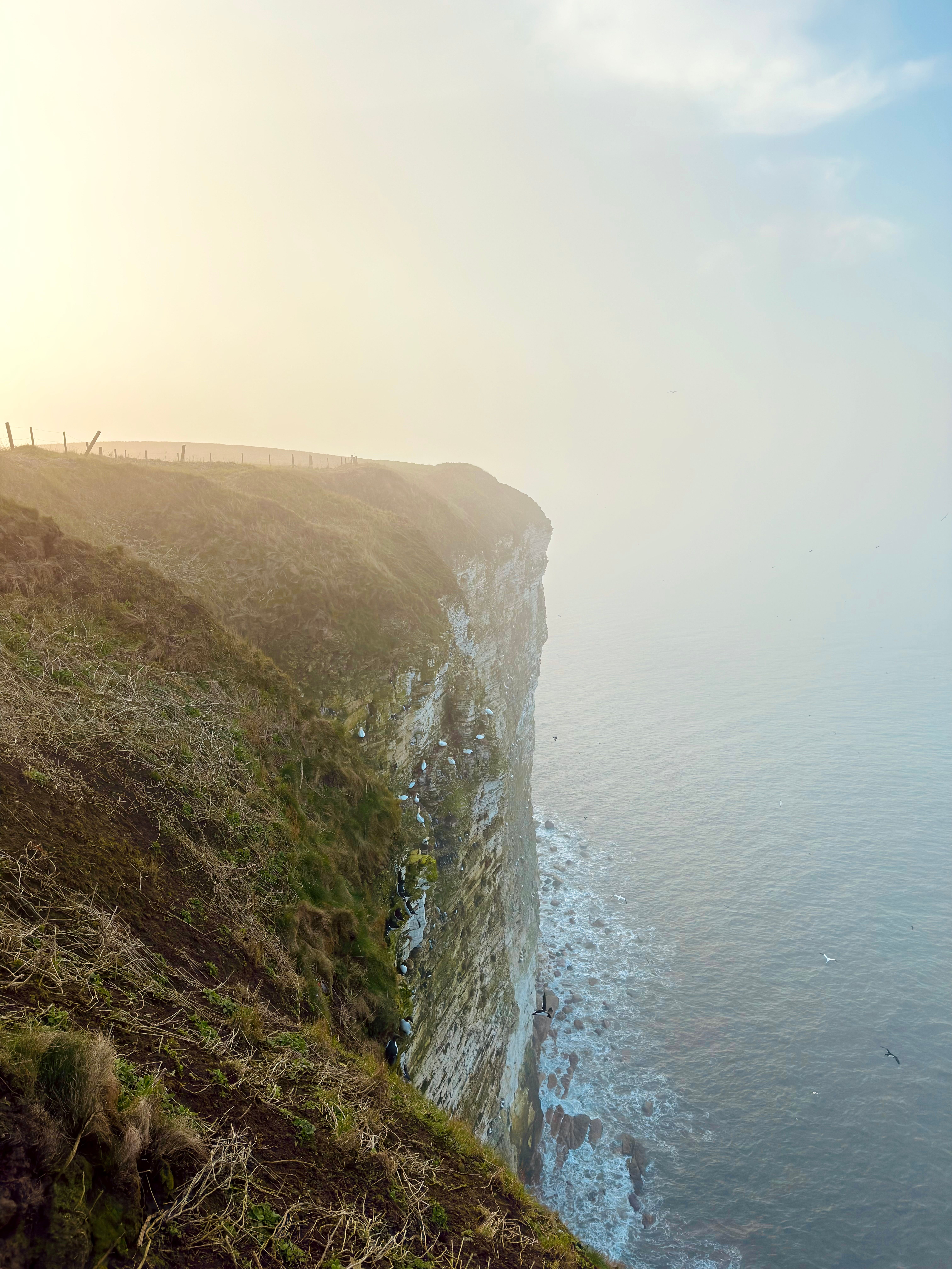 Misty Cliffs at Bempton Overlooking the North Sea · Free Stock Photo