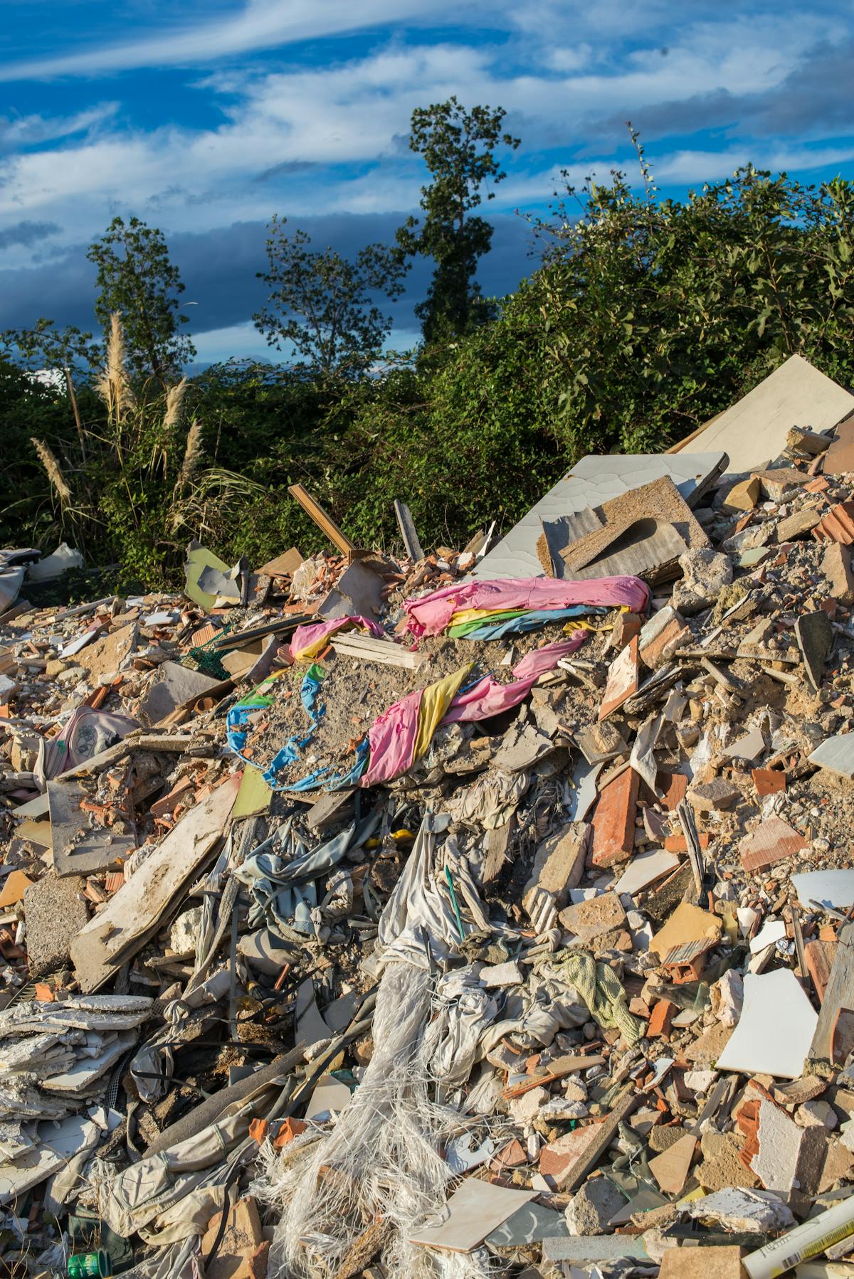 Waste Management Photos, Download The BEST Free Waste Management Stock ...