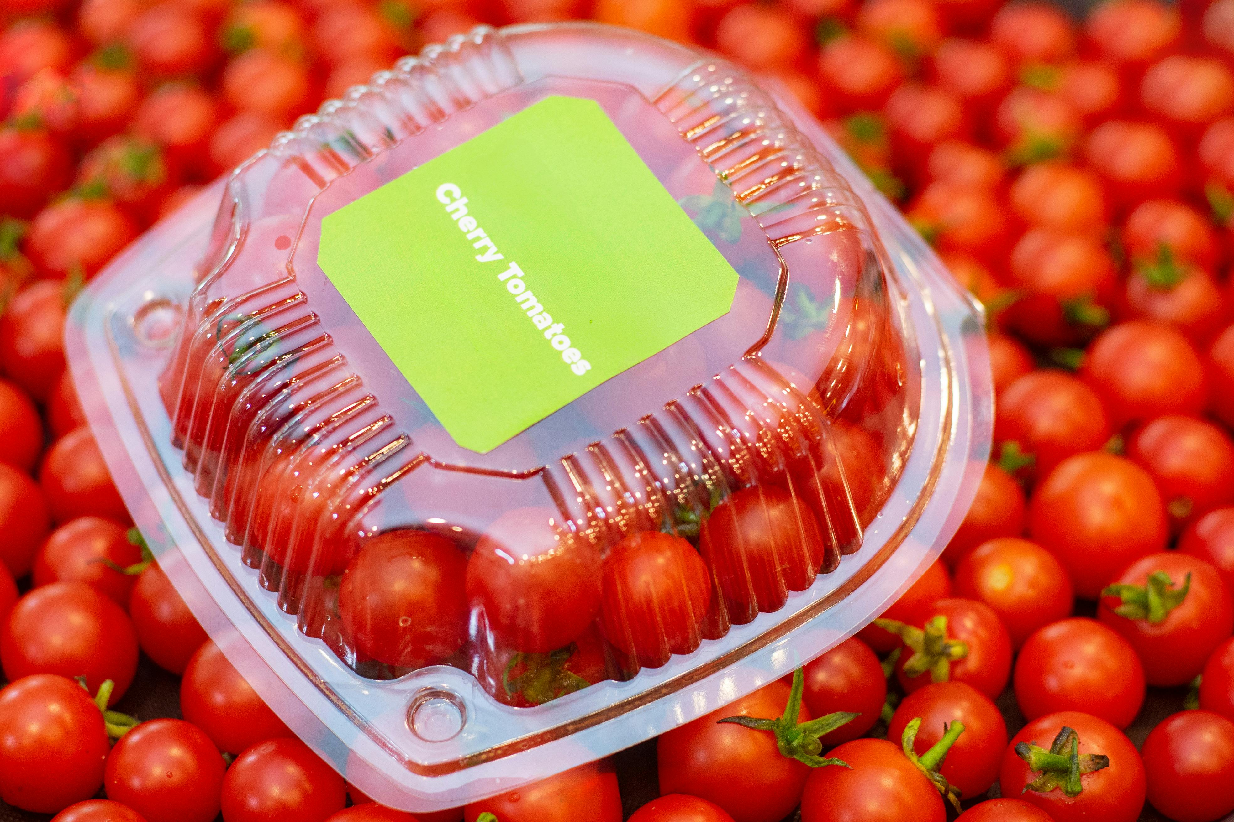 Fresh Cherry Tomatoes Packaged in Indonesia · Free Stock Photo