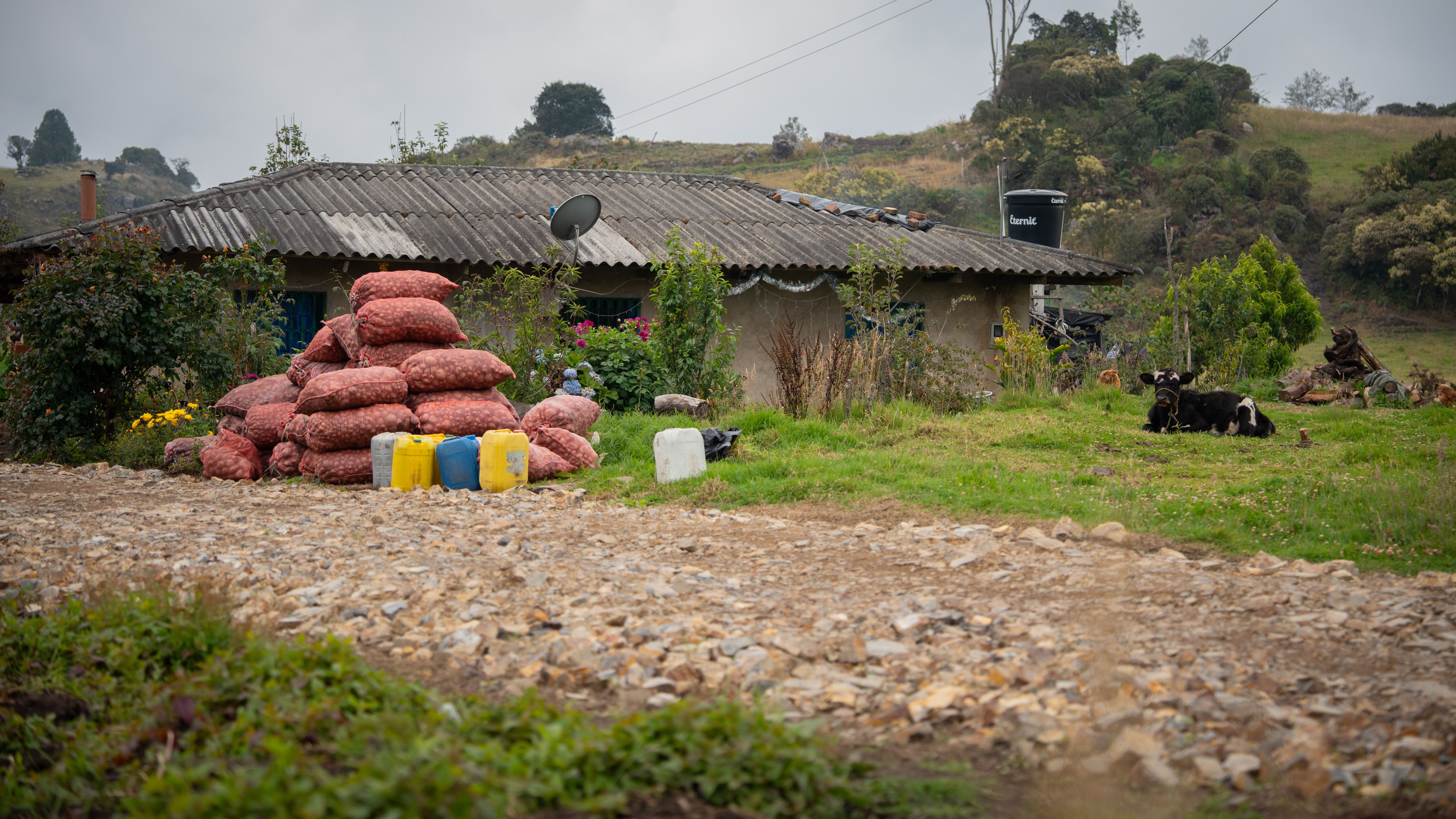 Rural Farmhouse with Stacked Produce and Livestock · Free Stock Photo