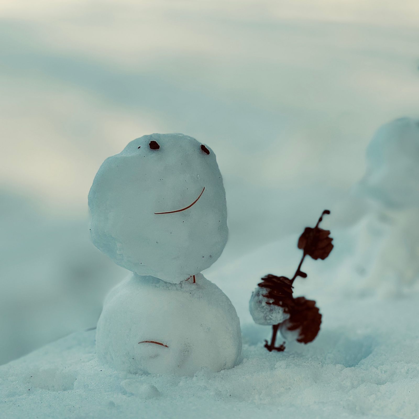 Snowman Winter Scene Photos, Download The BEST Free Snowman Winter ...