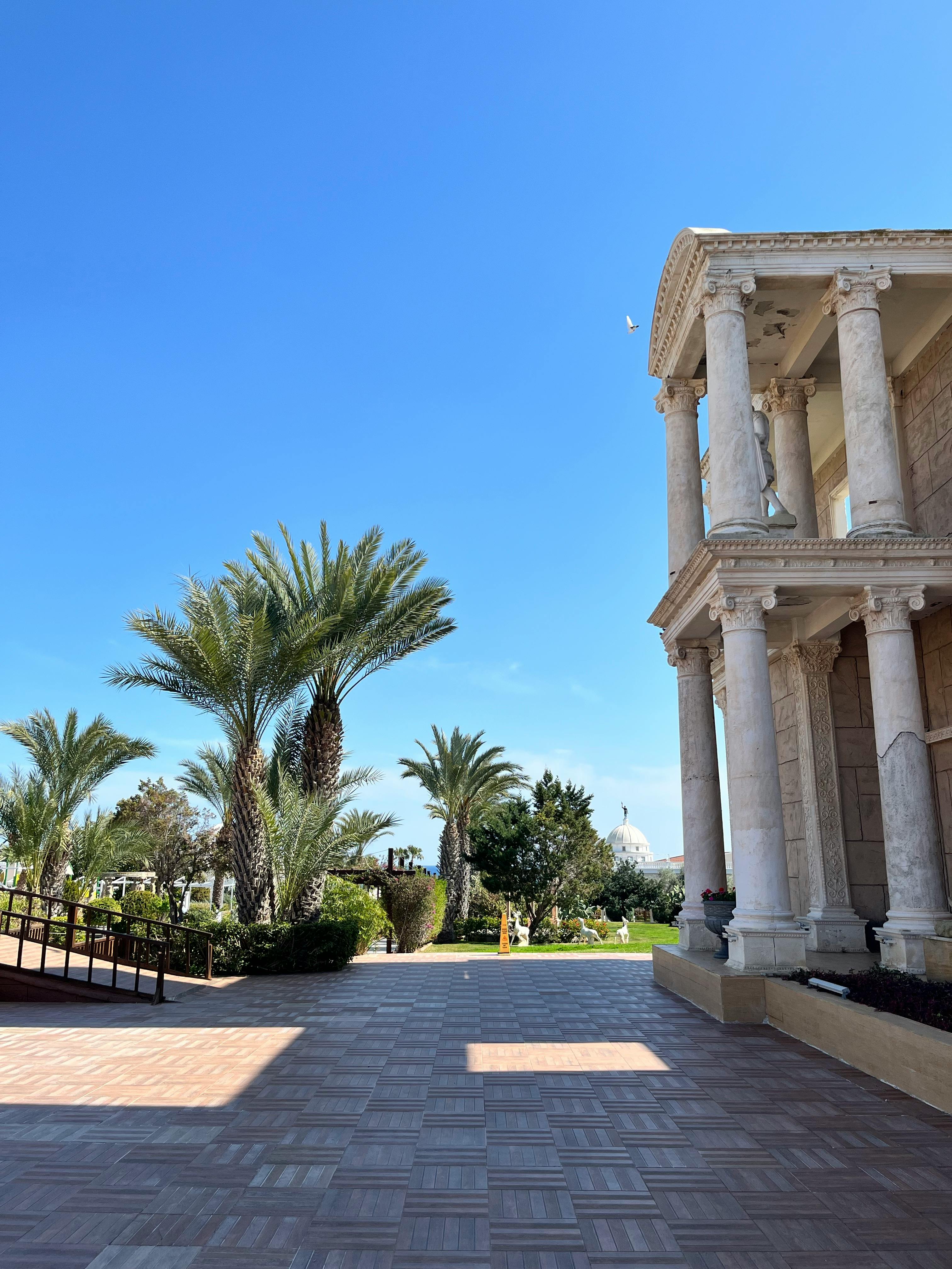 Elegant Roman-style Building with Palm Trees · Free Stock Photo