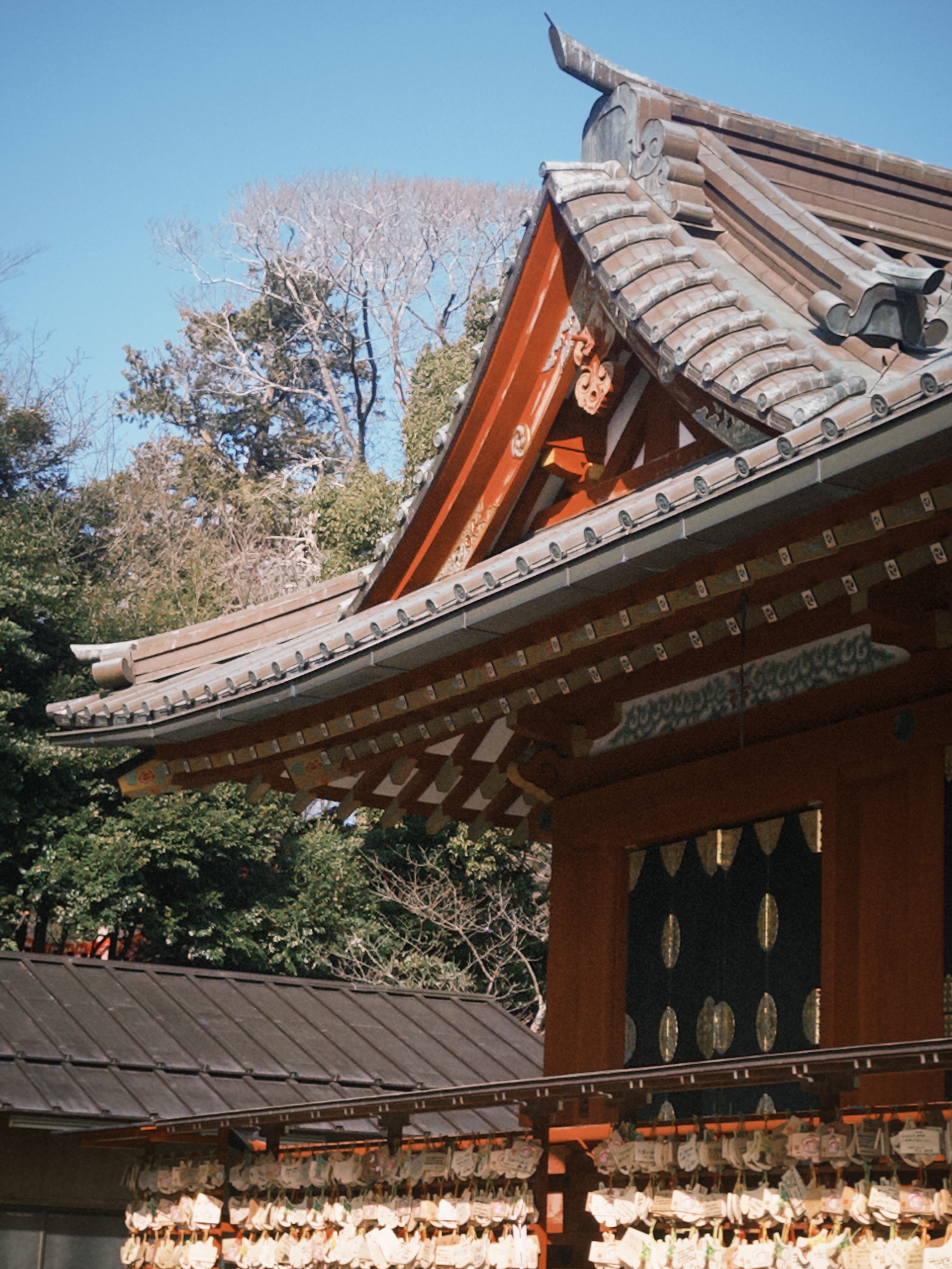 Traditional Japanese Temple Roof in Sunlight · Free Stock Photo