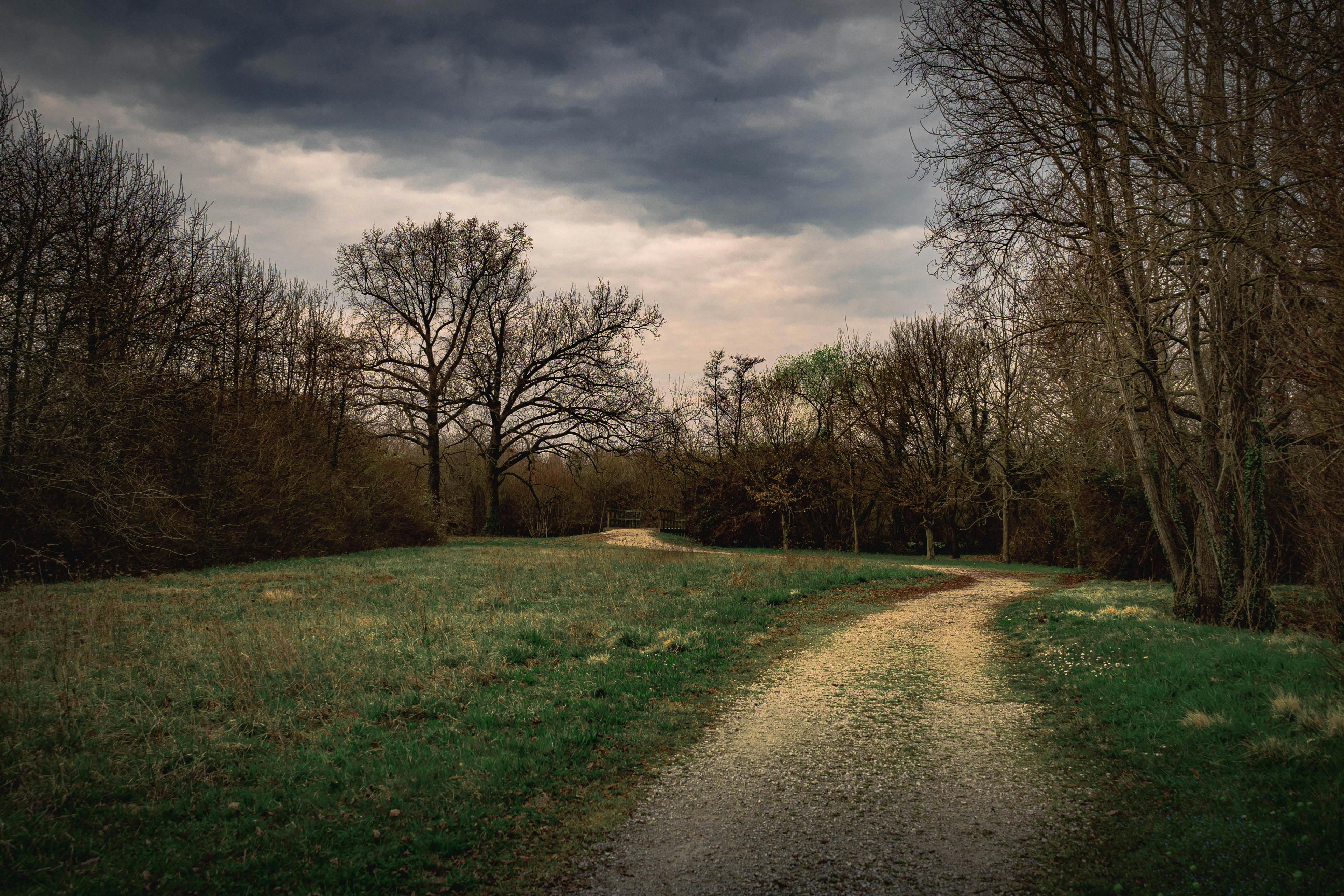 Relaxing Pathway Photos, Download The BEST Free Relaxing Pathway Stock ...