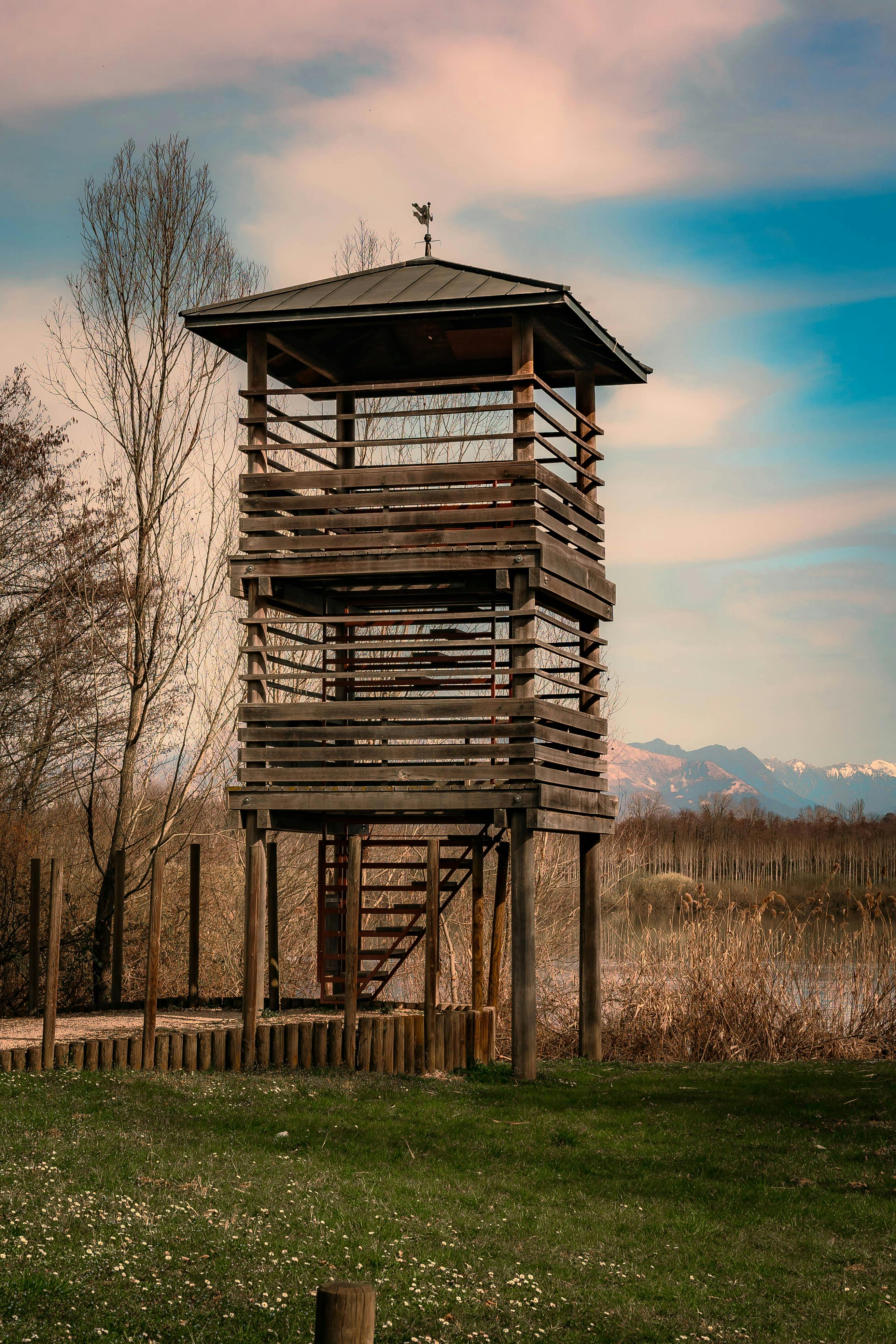 Wooden Birdwatching Tower in Scenic Park Setting · Free Stock Photo