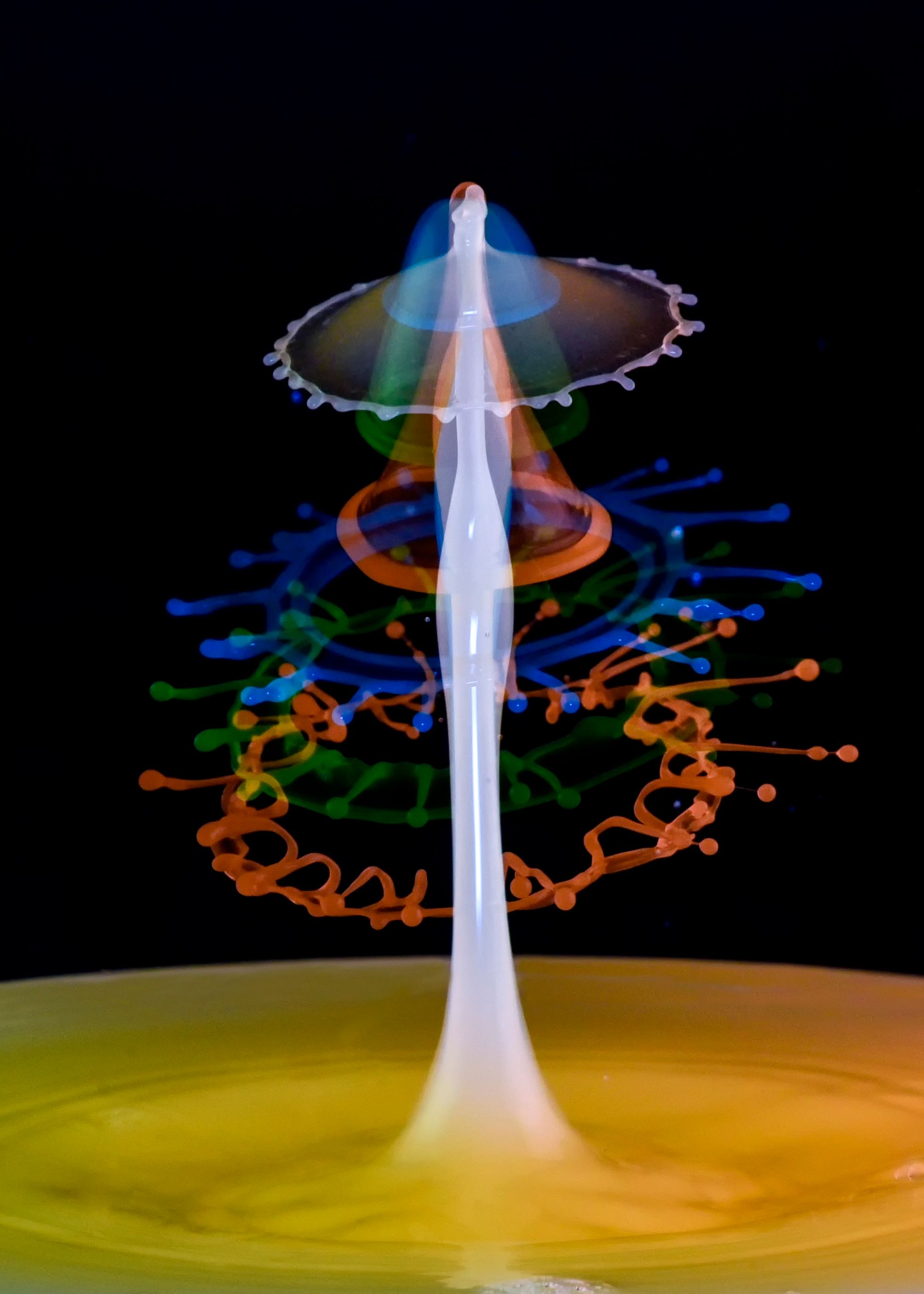 Colorful Liquid Art with Water Splash Collision · Free Stock Photo