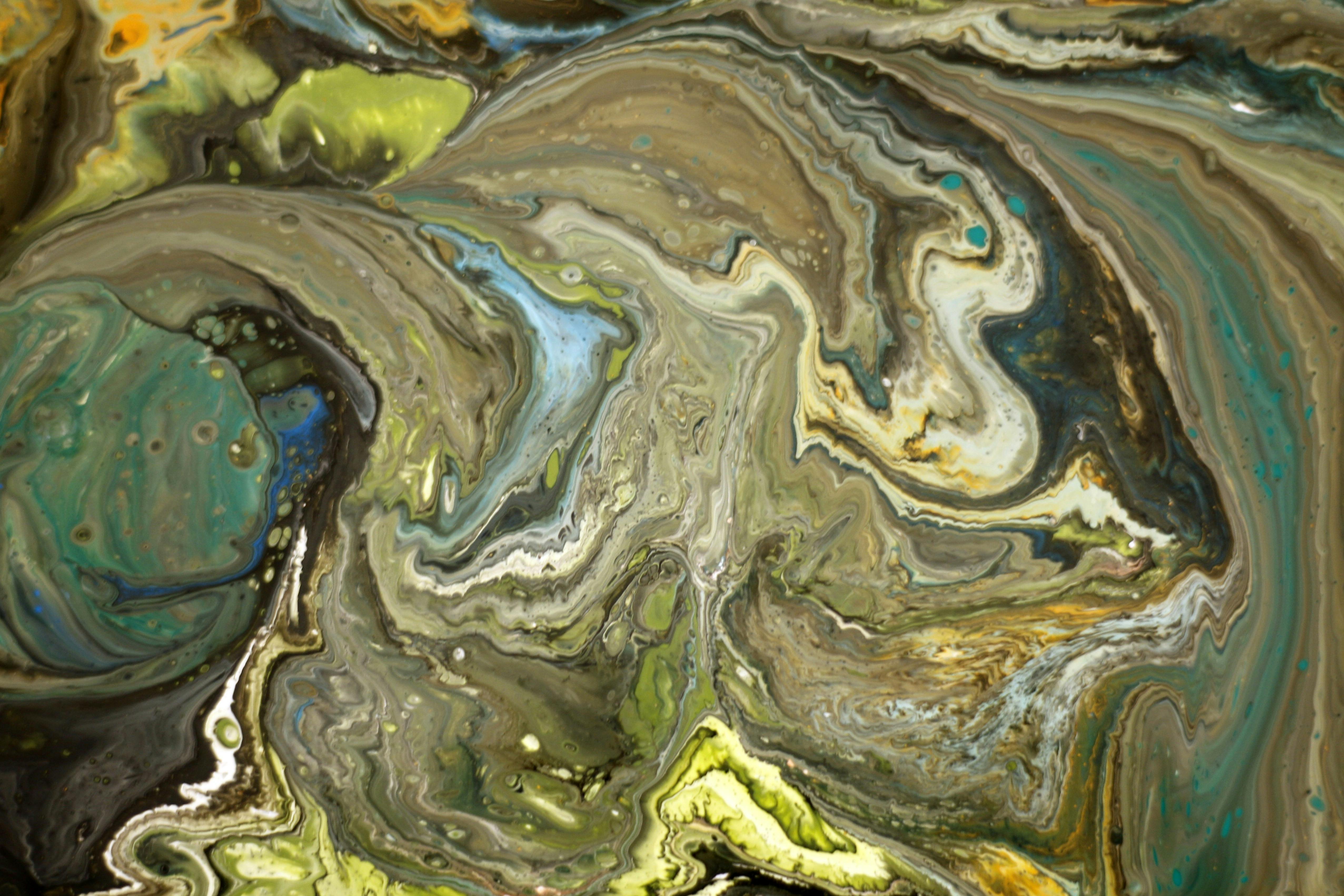 20,000+张最精彩的“Genetic Mixing”图片 · 100%免费下载 · Pexels素材图片