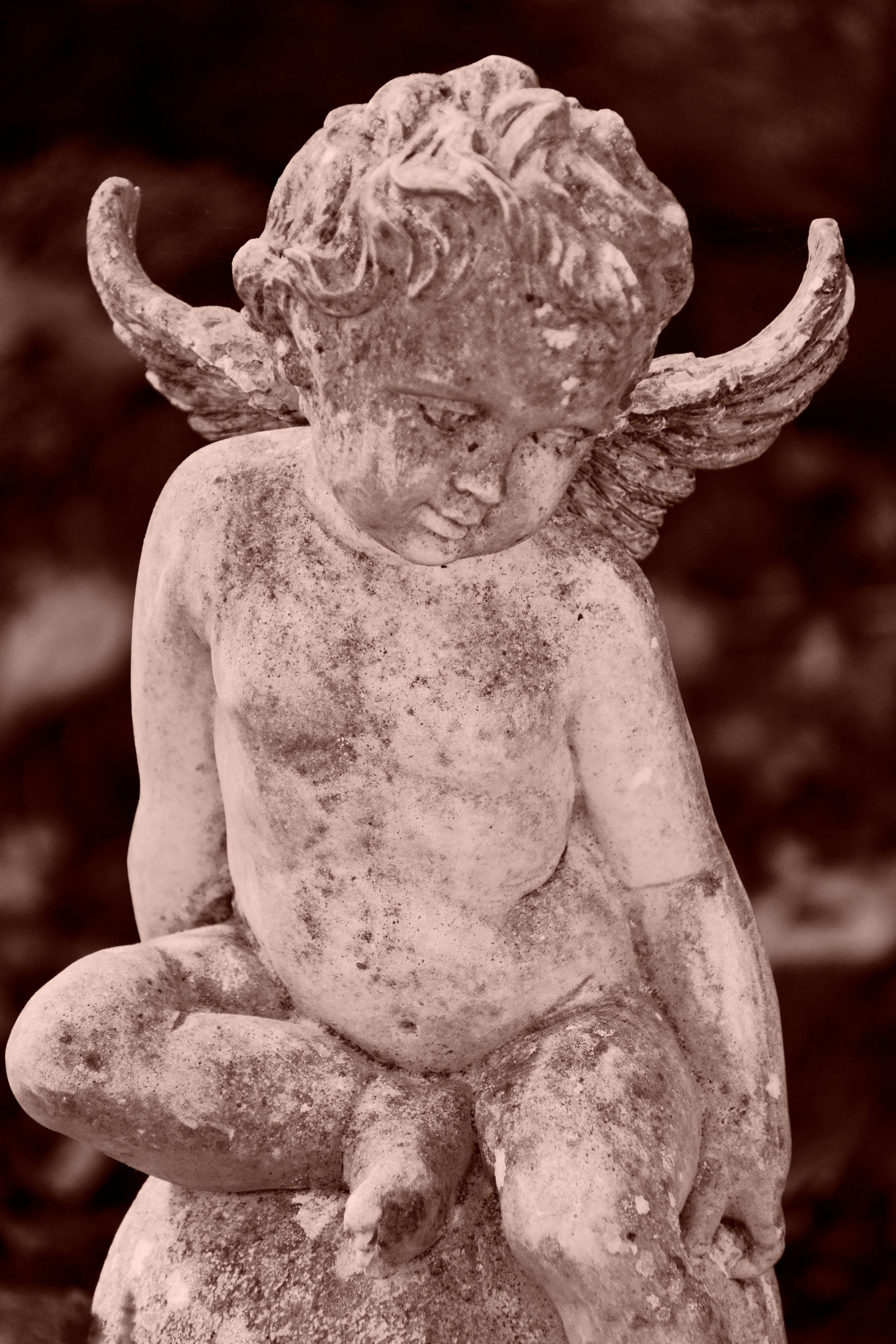 Statue Sculpture Photos, Download The BEST Free Statue Sculpture Stock ...