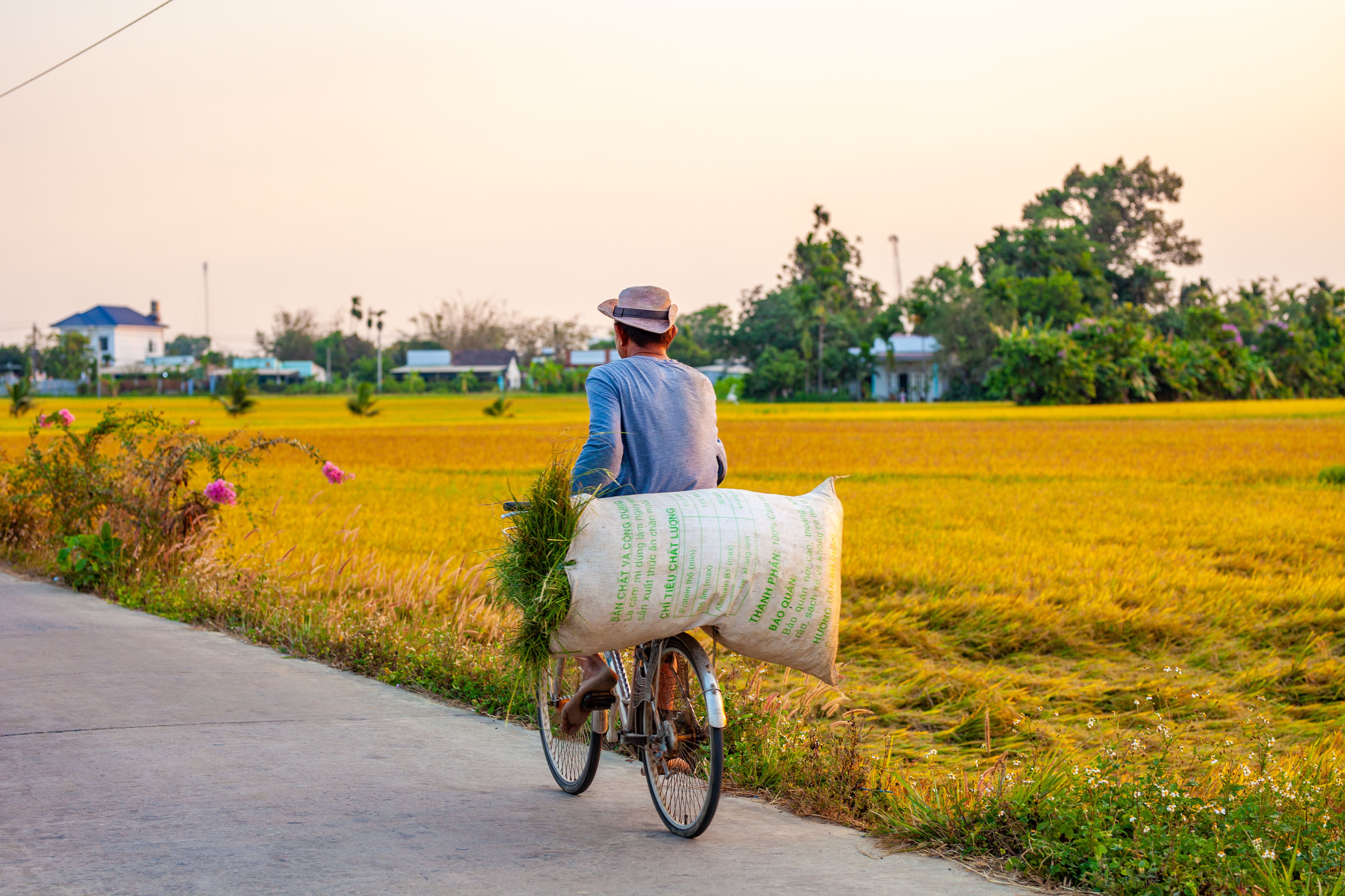 Cycling Work Photos, Download The BEST Free Cycling Work Stock Photos ...
